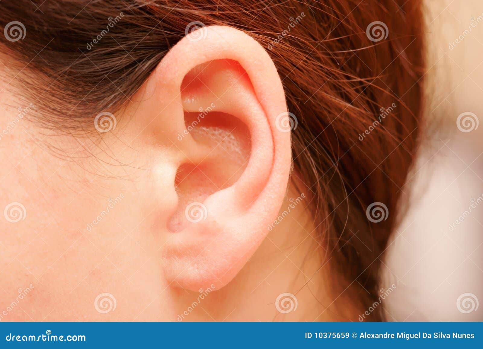 Orelha imagem de stock. Imagem de brilhante, ouvinte - 10375659