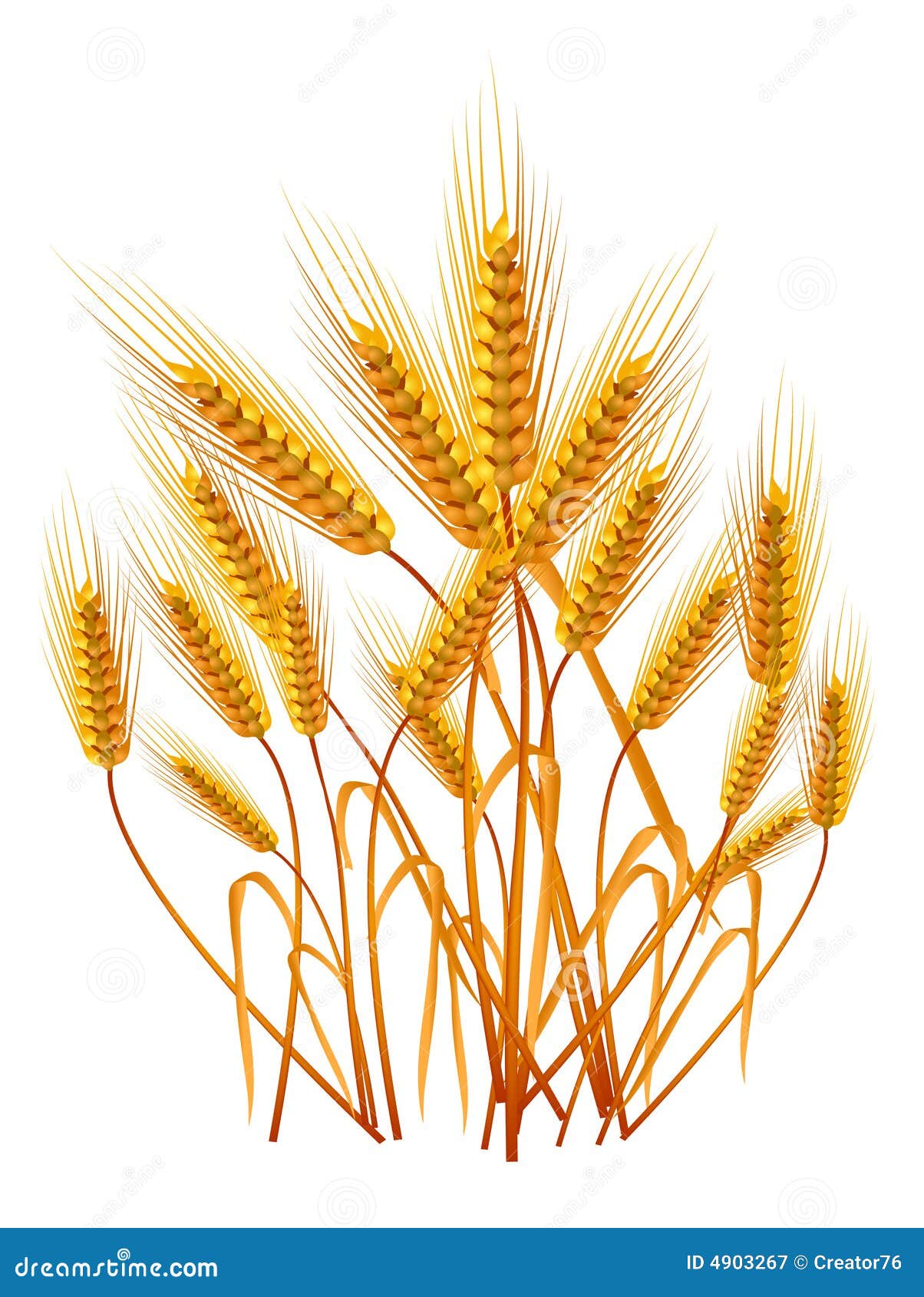 Oren van tarwe vector illustratie. Illustration of blad - 4903267