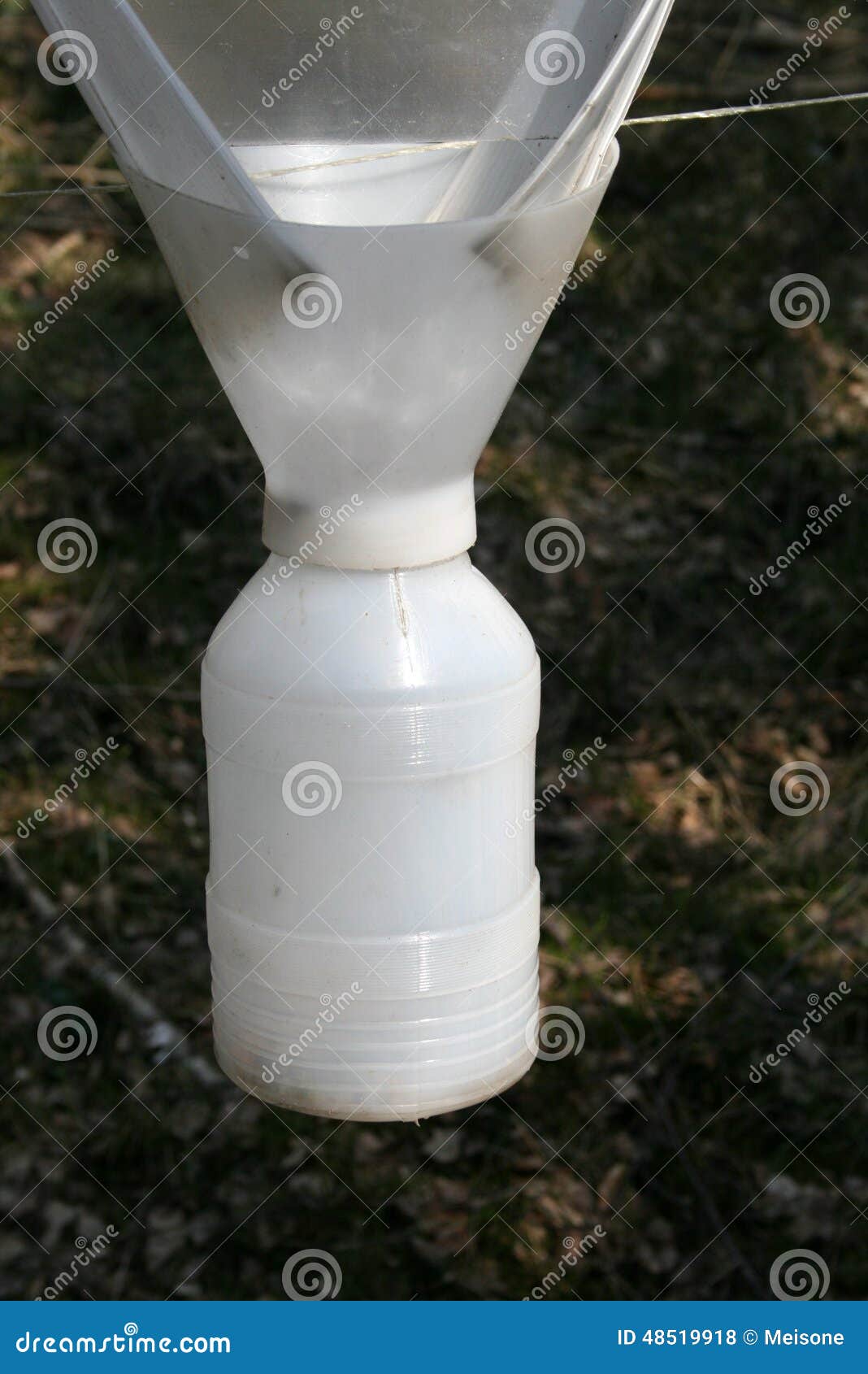 Forest trap stock photo. Image of pest, mounted, trap - 48519918