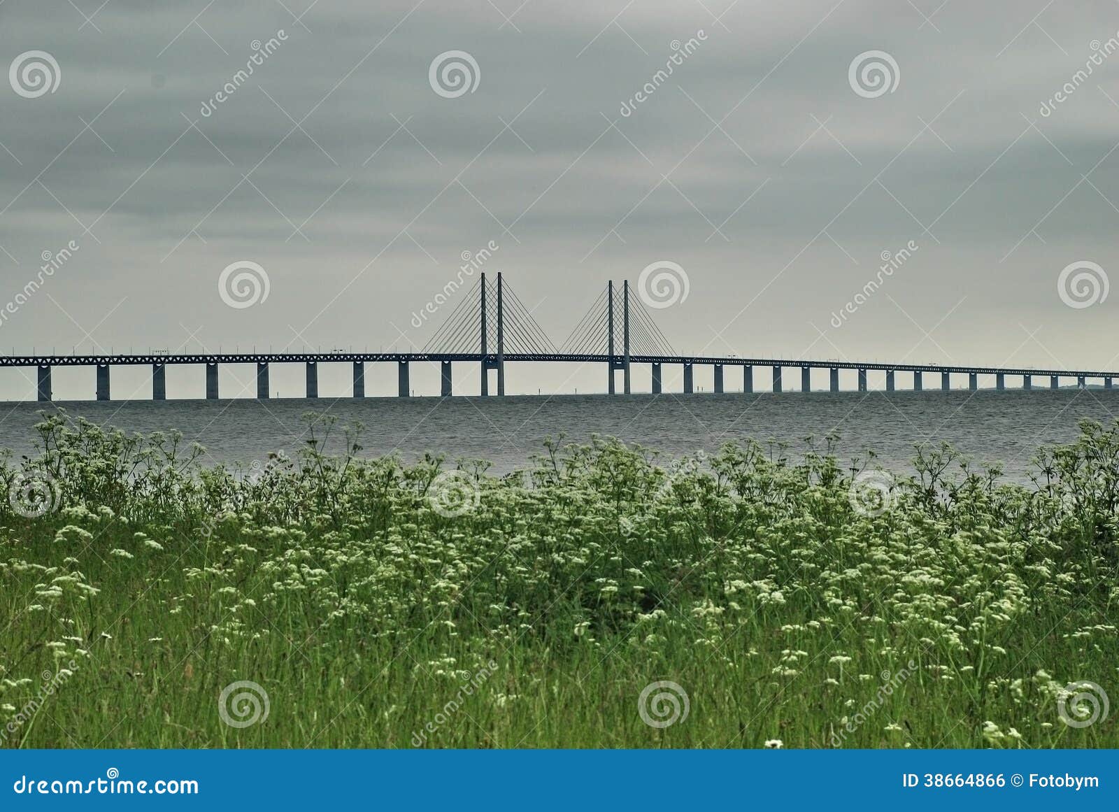The Oresund Bridge, View from Malmo. Stock Photo - Image of denmark ...