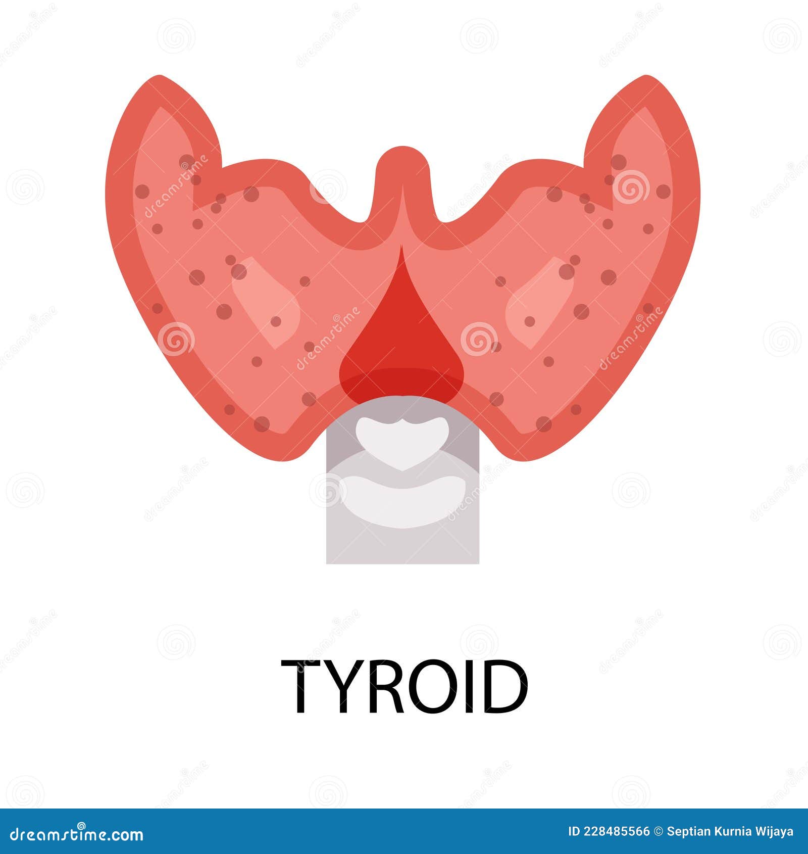 The Metabolic System Medical Vector Illustration Isolated On White ...