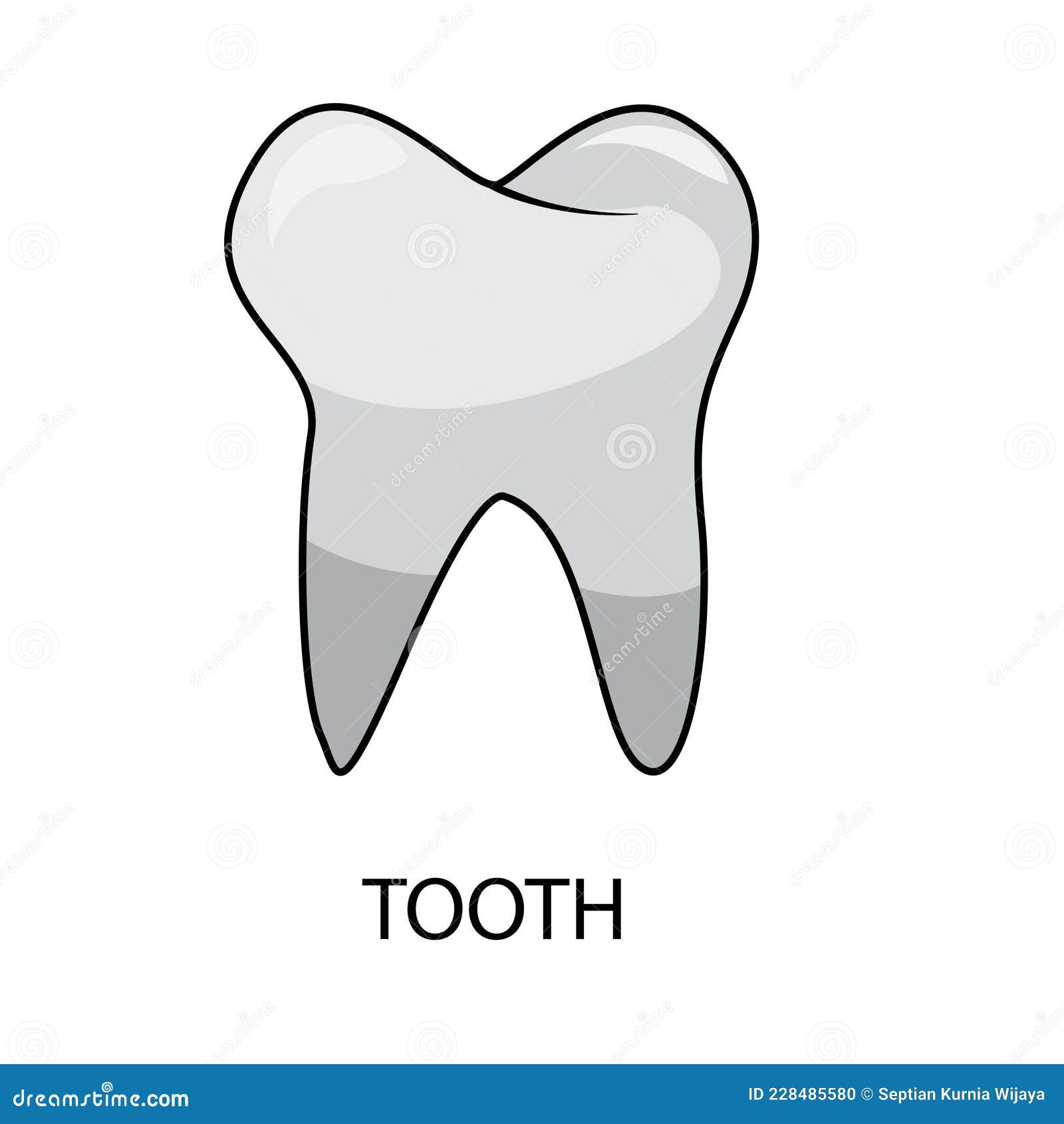 Teeth are One of the Most Powerful Parts of the Human Body. Teeth are ...