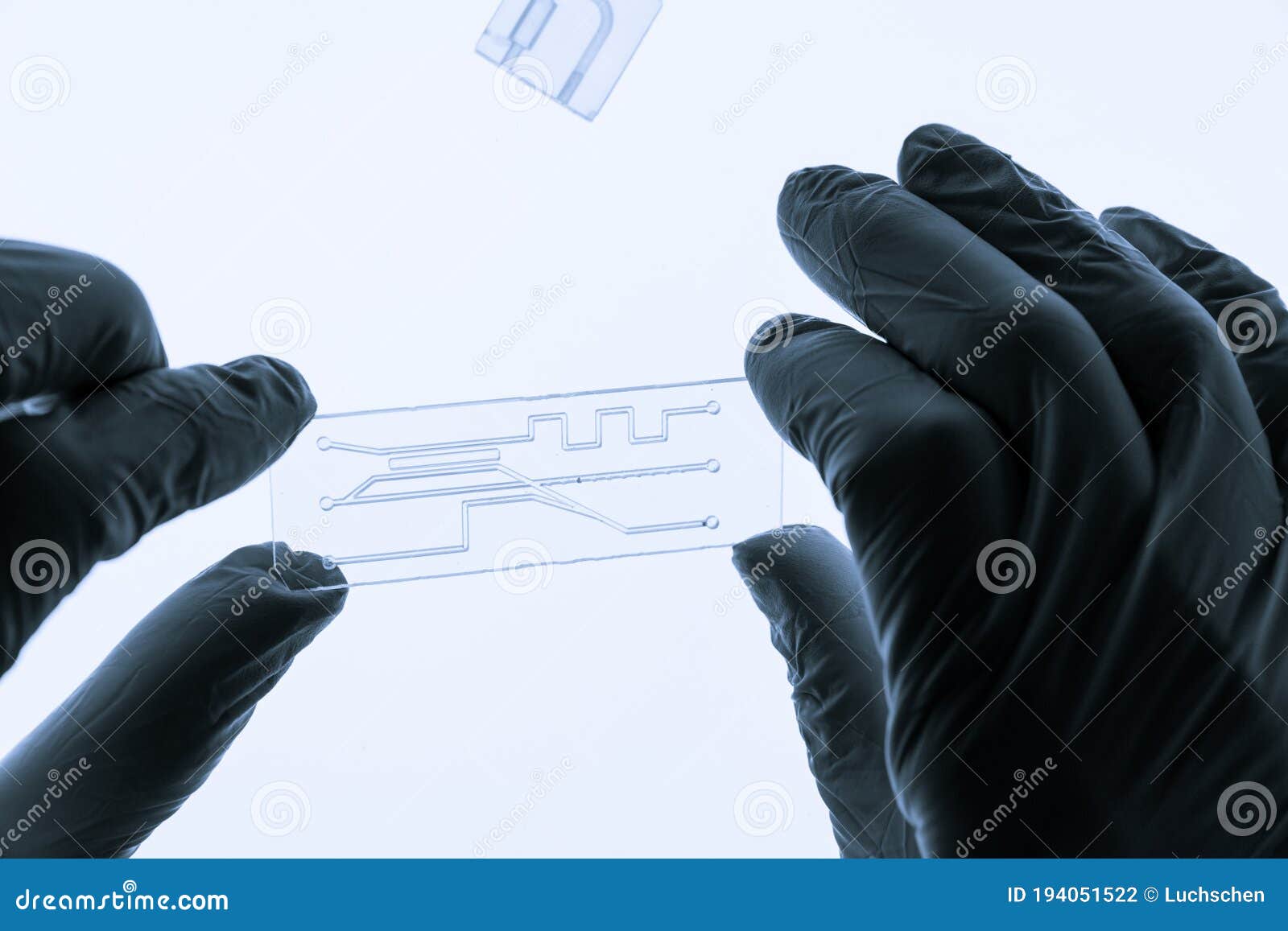 Organ on Chip OOC and Lab on Chip LOC - Microfluidic Device Chip that ...