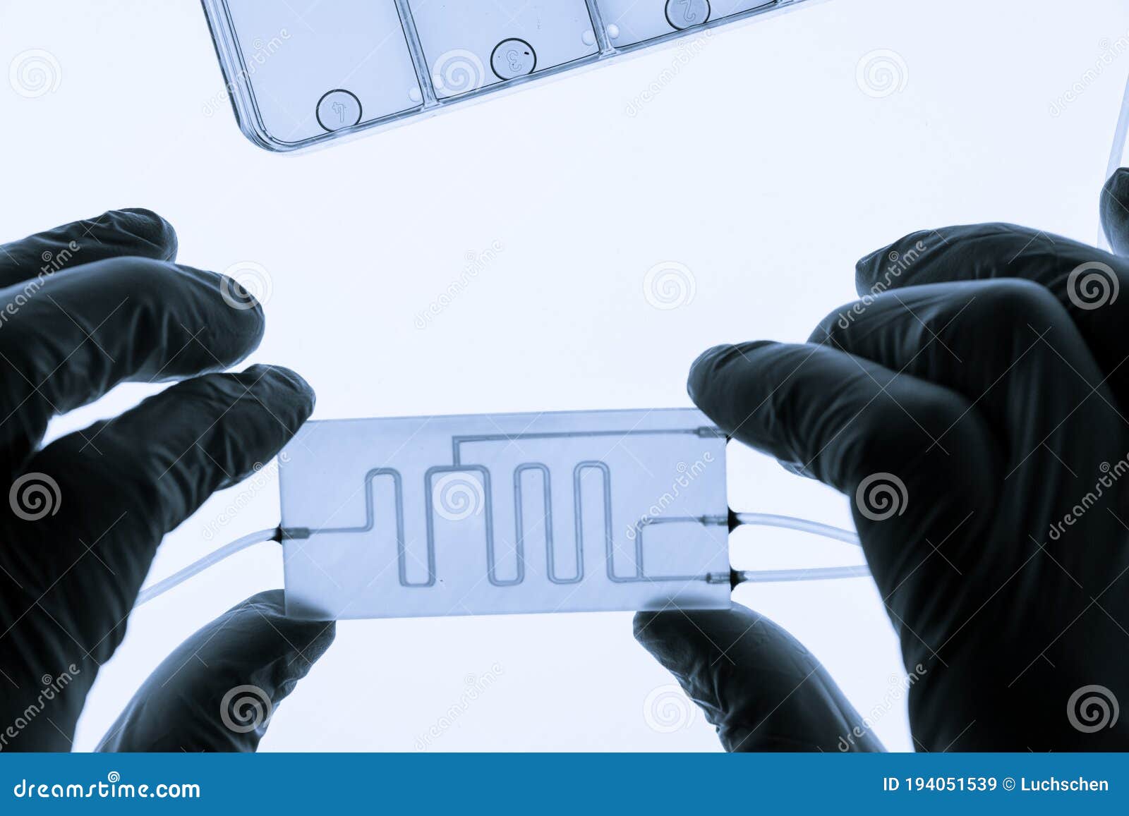 Organ on Chip OOC and Lab on Chip LOC - Microfluidic Device Chip that ...