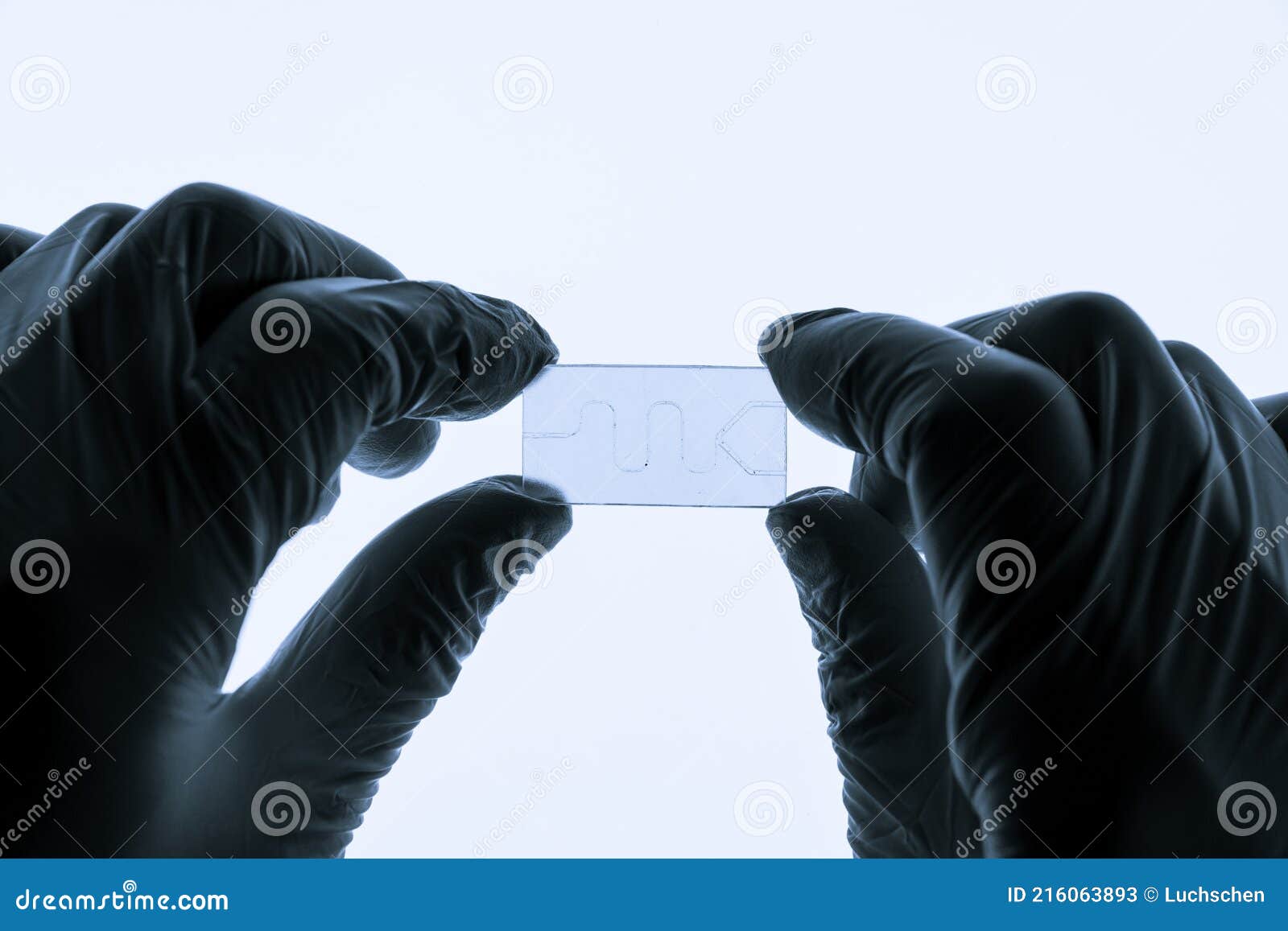 Organ on Chip OOC and Lab on Chip LOC - Microfluidic Device Chip that ...