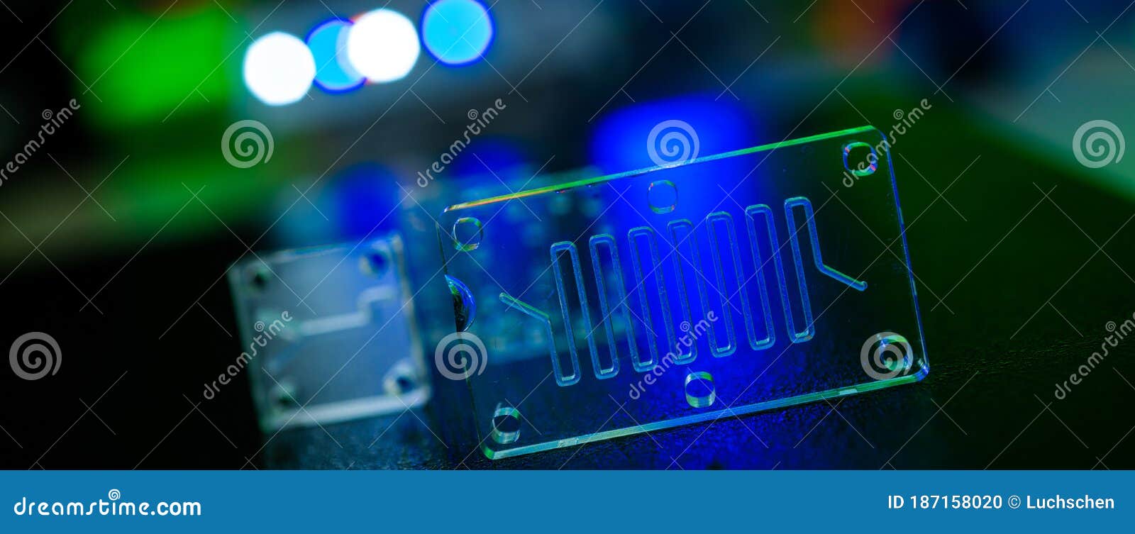 Organ-on-a-chip OOC - Microfluidic Device Chip that Simulates ...