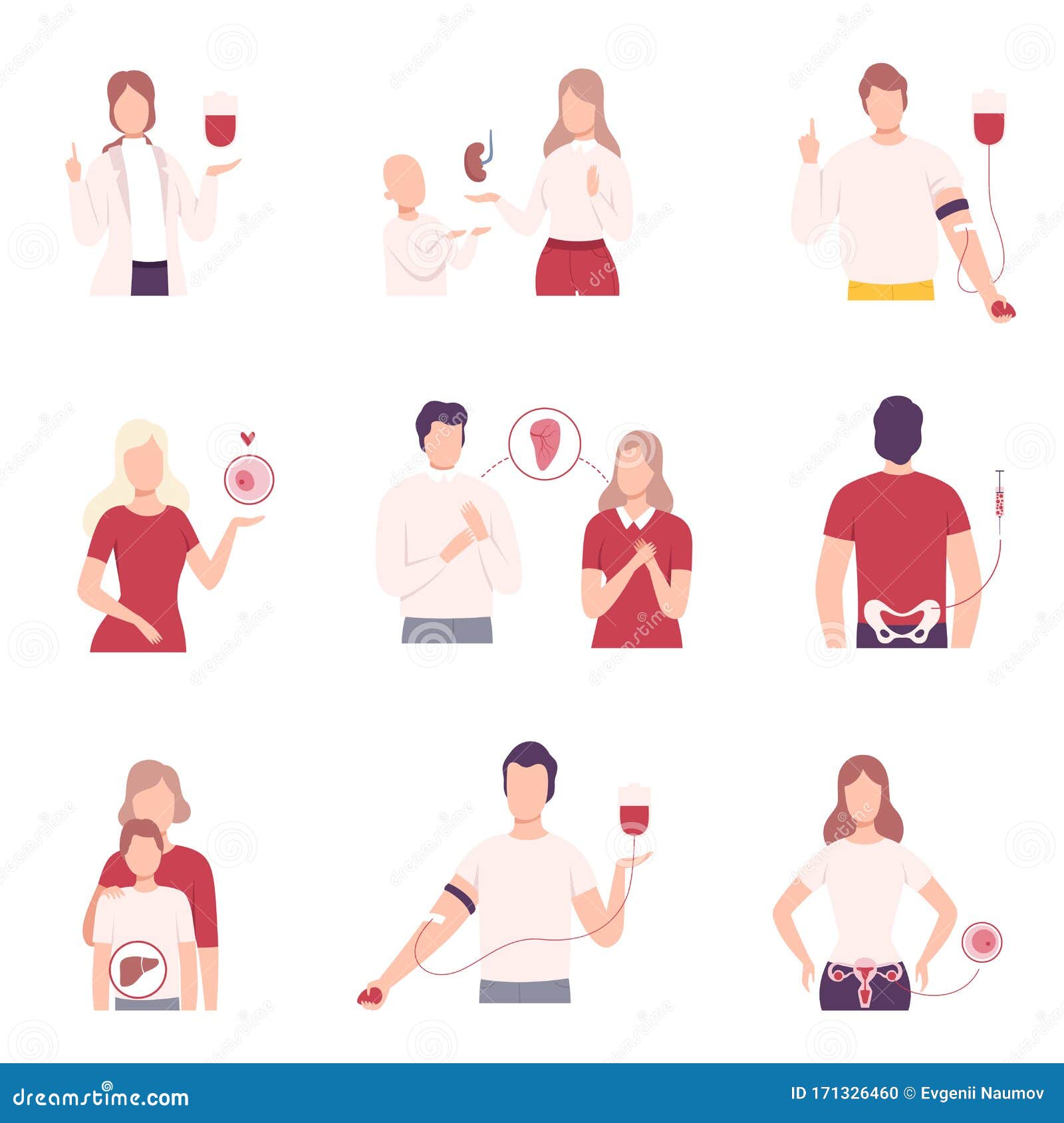 Organ Donation Collection Donors For Human Organs Transplantation