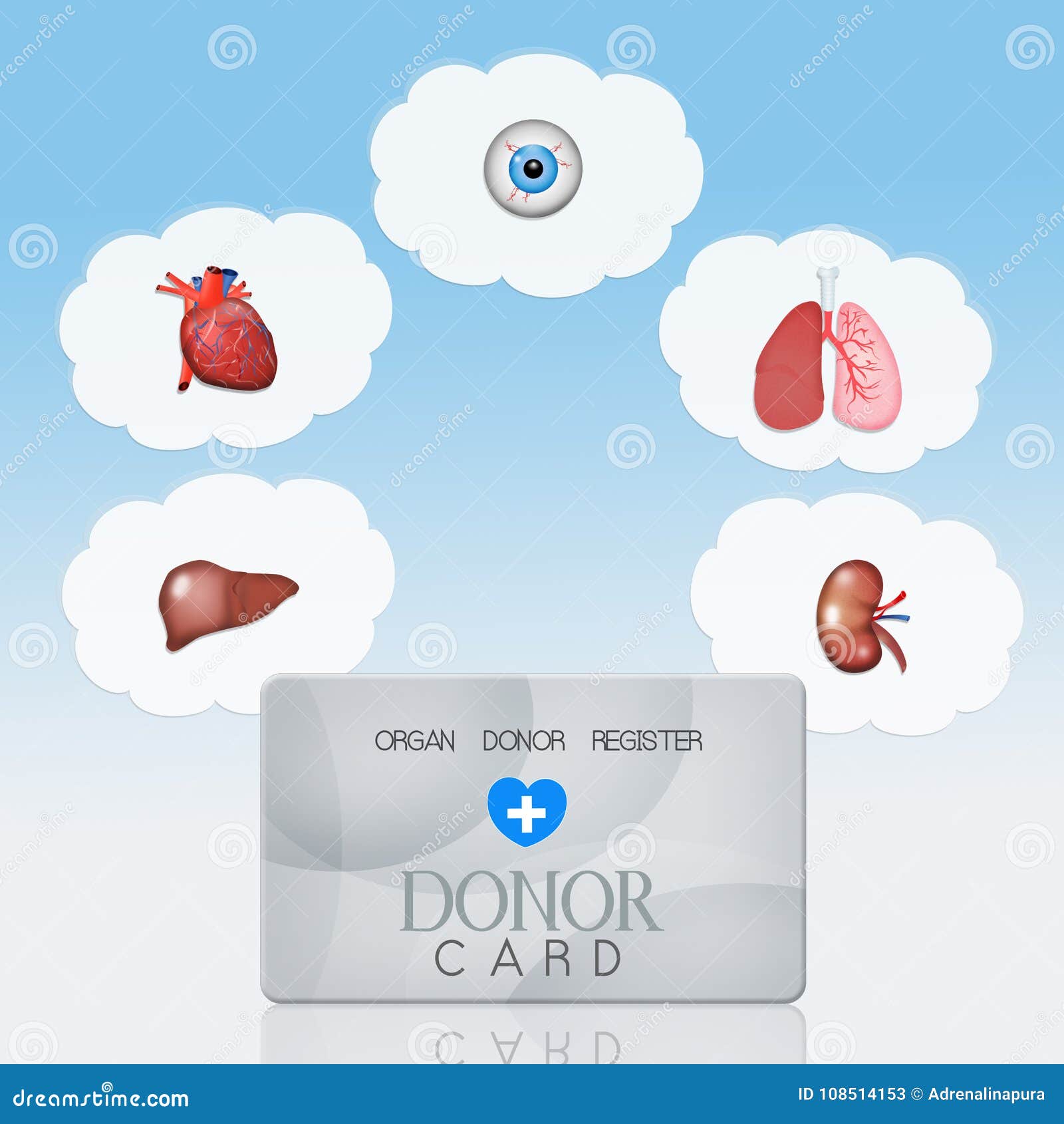 Organ donor card stock illustration. Illustration of body - 108514153