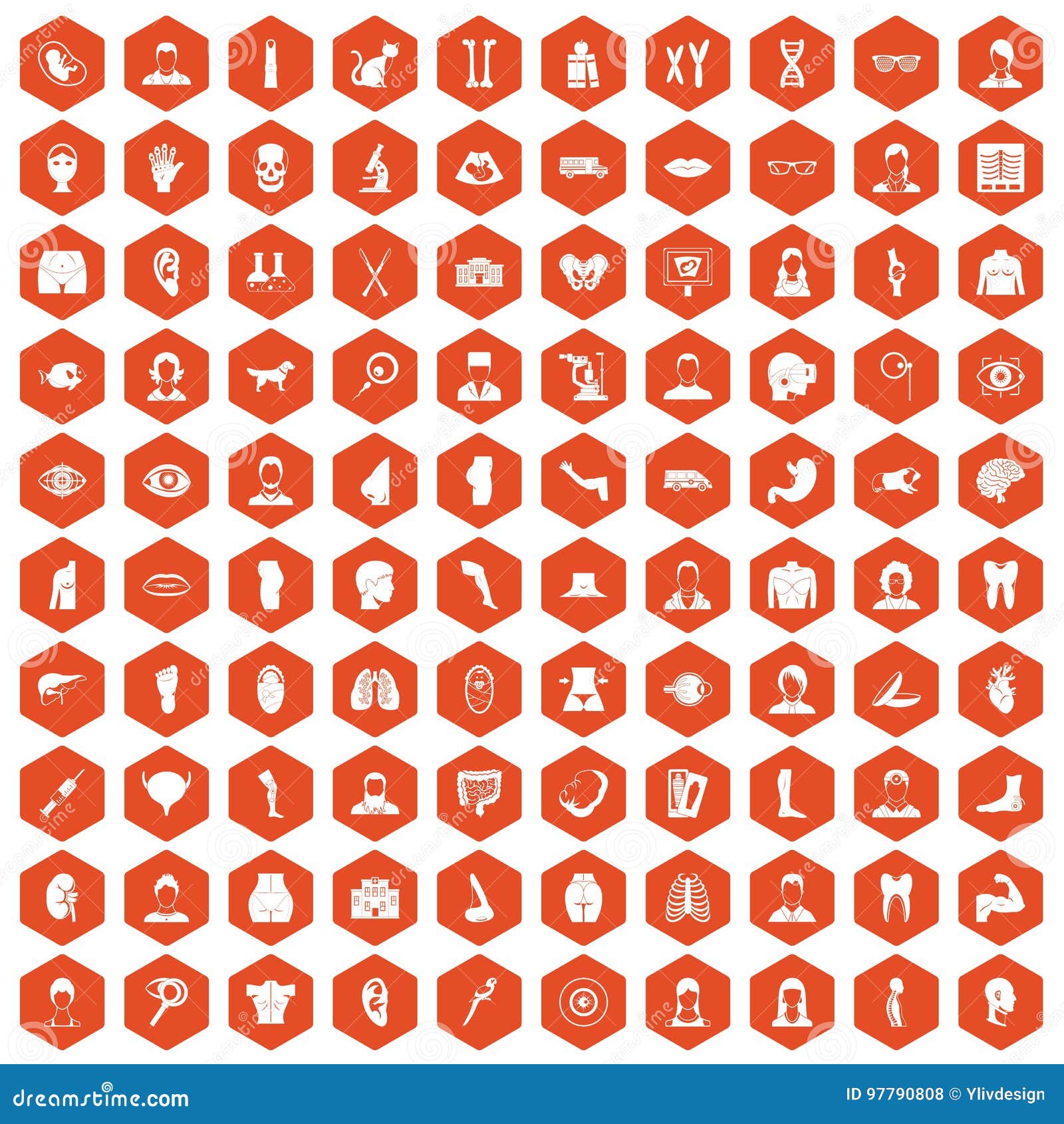 100 Organ Icons Hexagon Orange Stock Vector - Illustration of simple ...