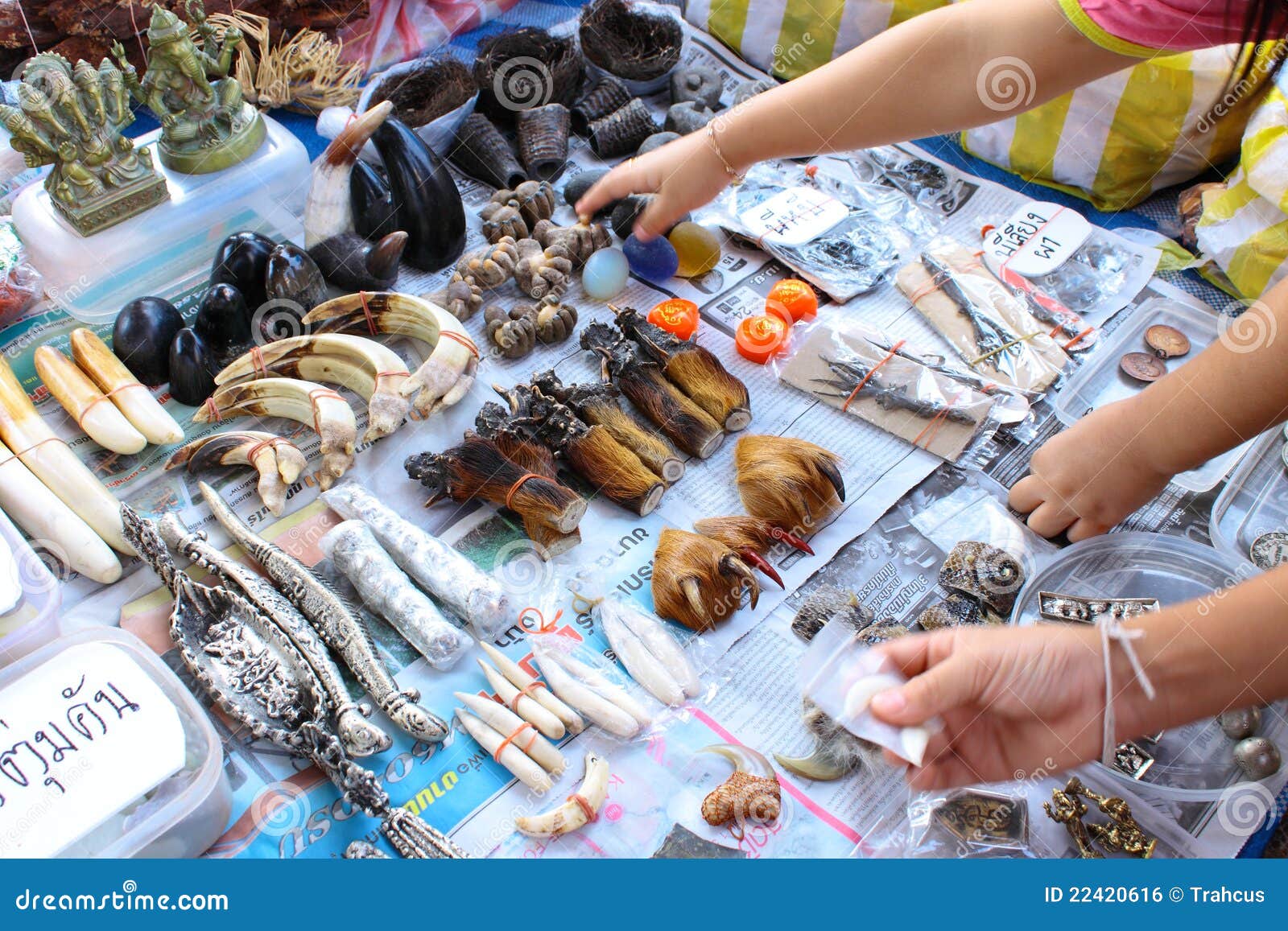 Organ of Wild Animal on Trading Stock Photo - Image of sell, item: 22420616