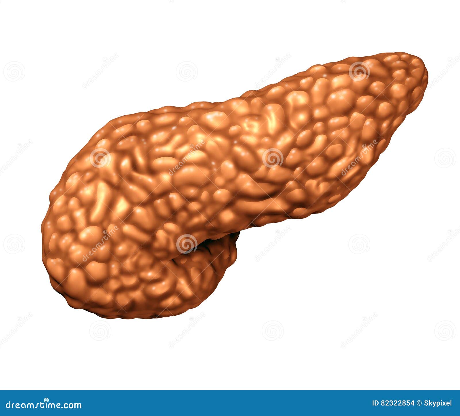 Organe humain de pancréas illustration stock. Illustration du sain ...