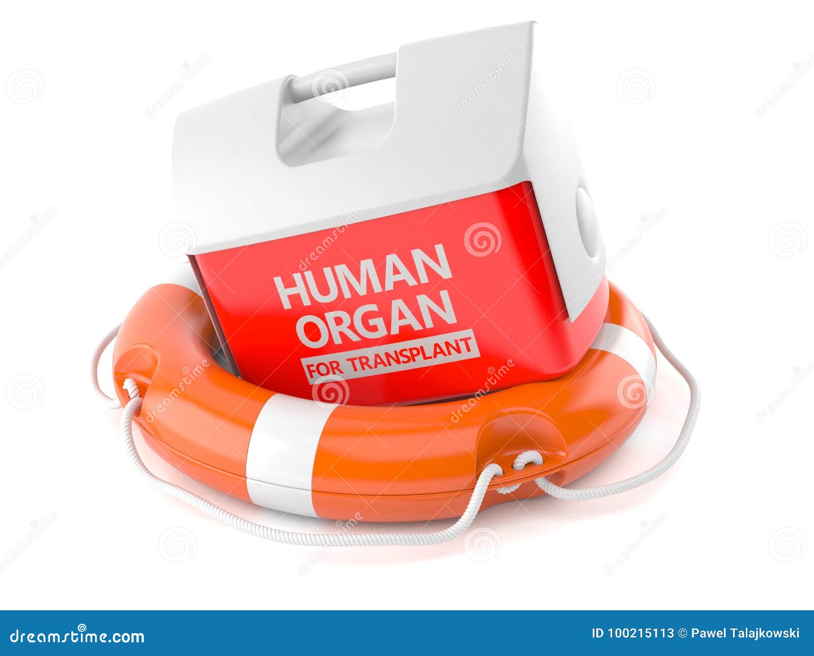 Organe Humain Pour Le Concept De Greffe Illustration Stock ...