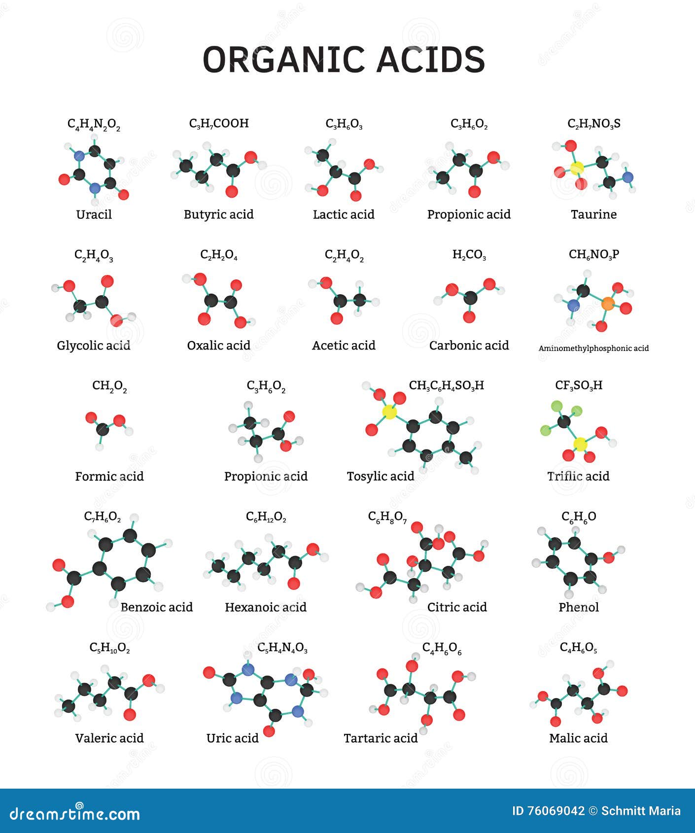 Organic Acids Molecules Set Stock Vector - Illustration of physics ...