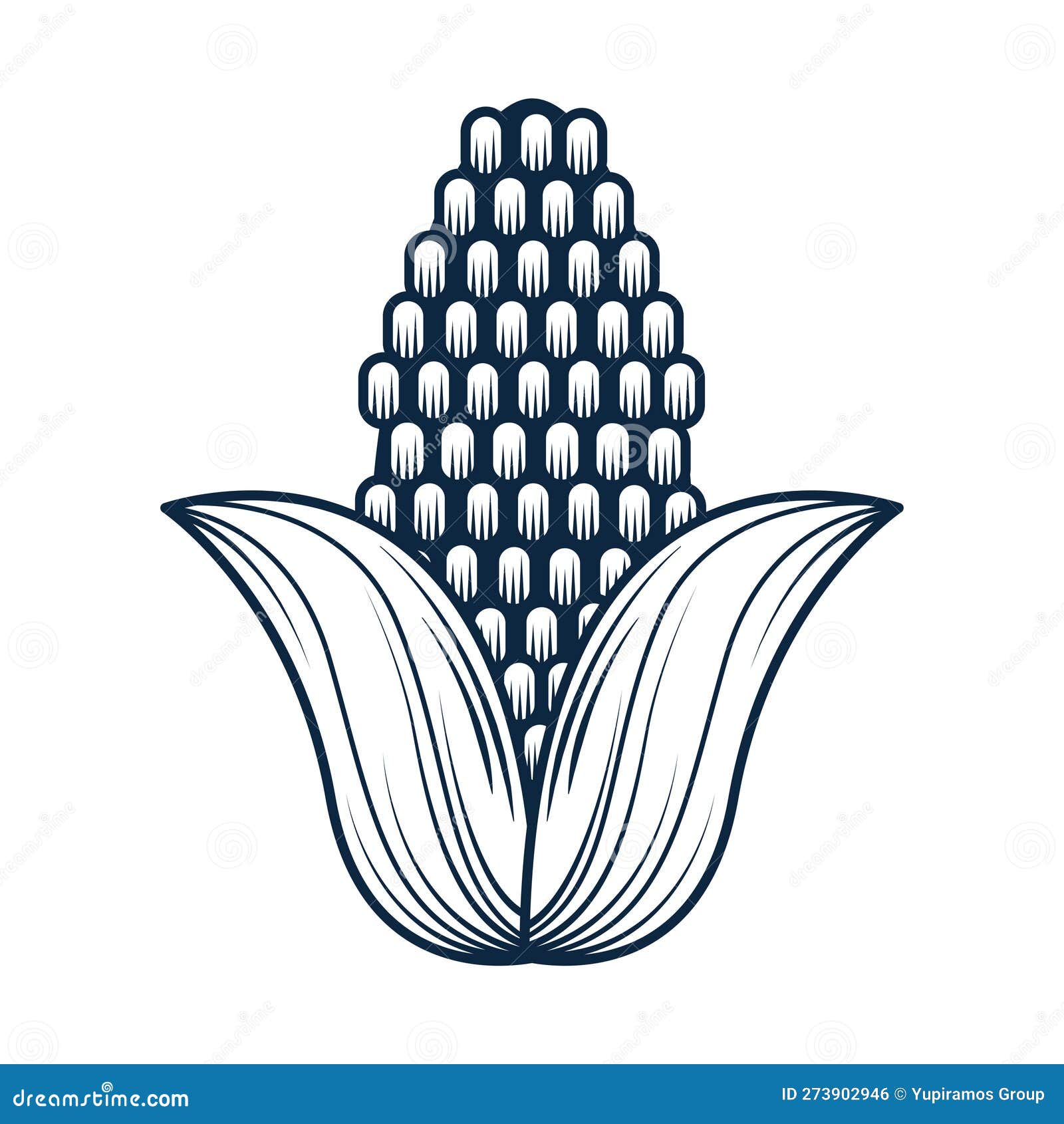 Organic Agriculture Leaf Corn Stock Vector - Illustration of design ...