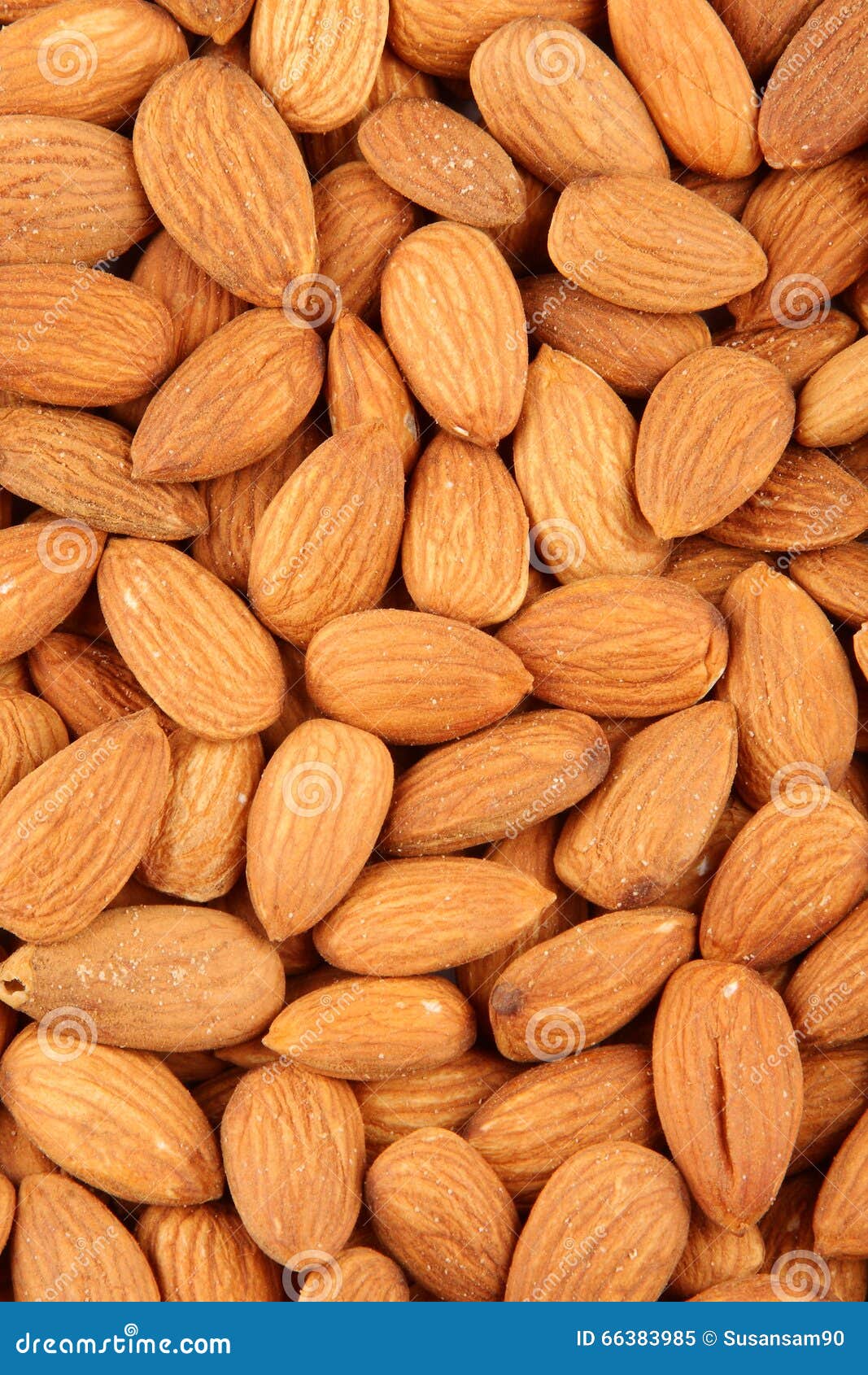 Organic Almond or Badam Nuts Stock Image - Image of balm, hygiene: 66383985