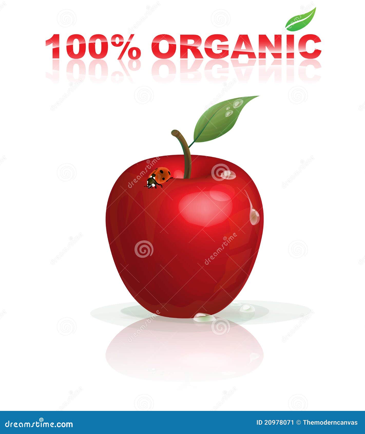 Organic apple stock vector. Illustration of delicious - 20978071