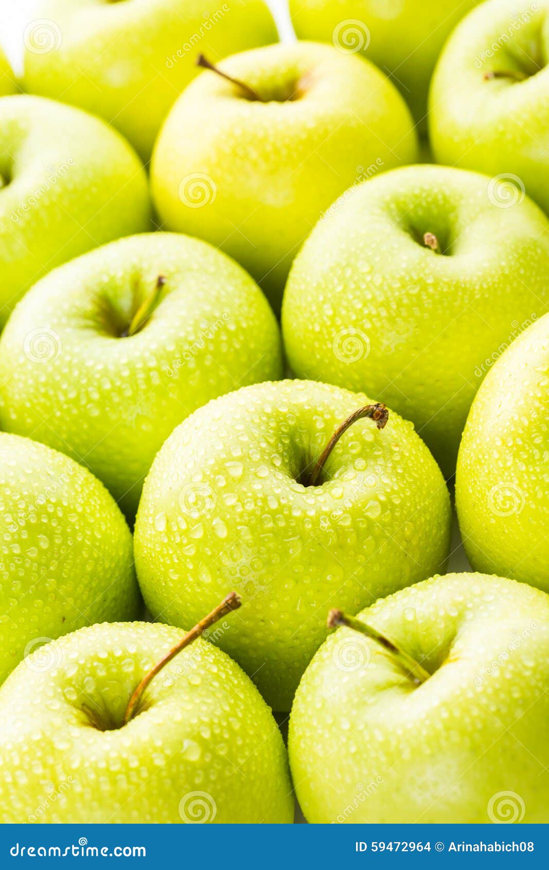 Organic apples stock photo. Image of washed, harvest - 59472964