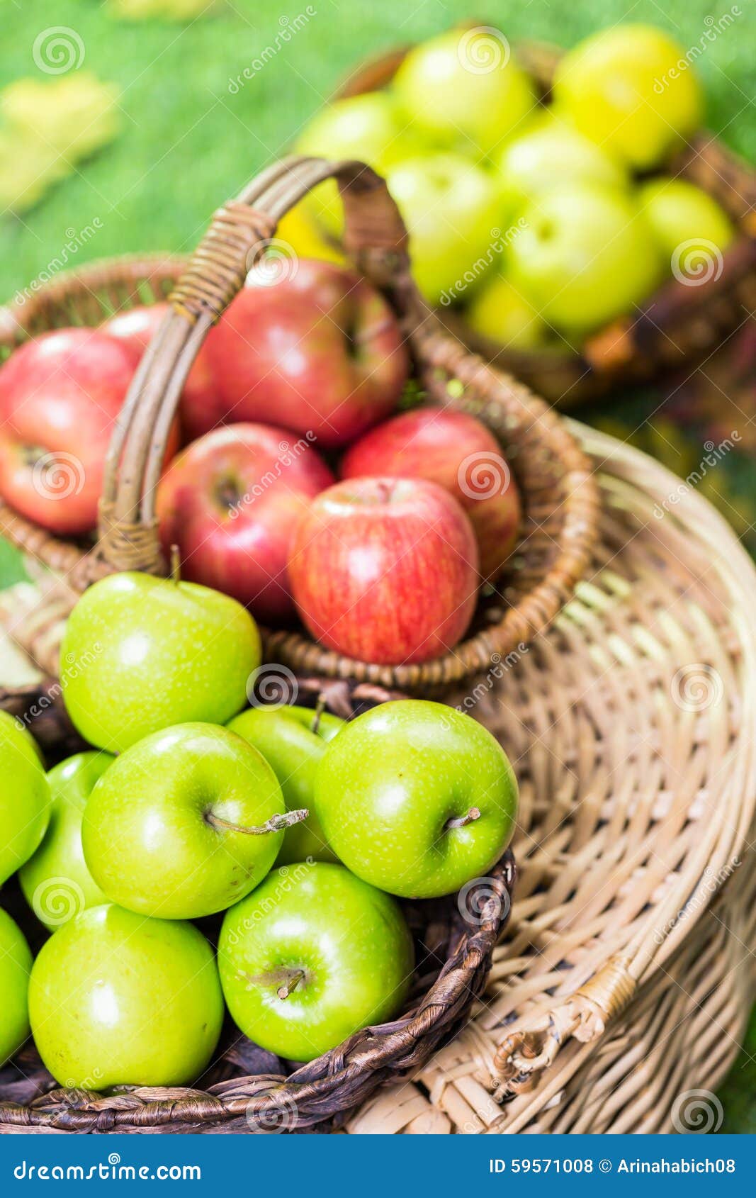 Organic apples stock photo. Image of delicious, outdoor - 59571008