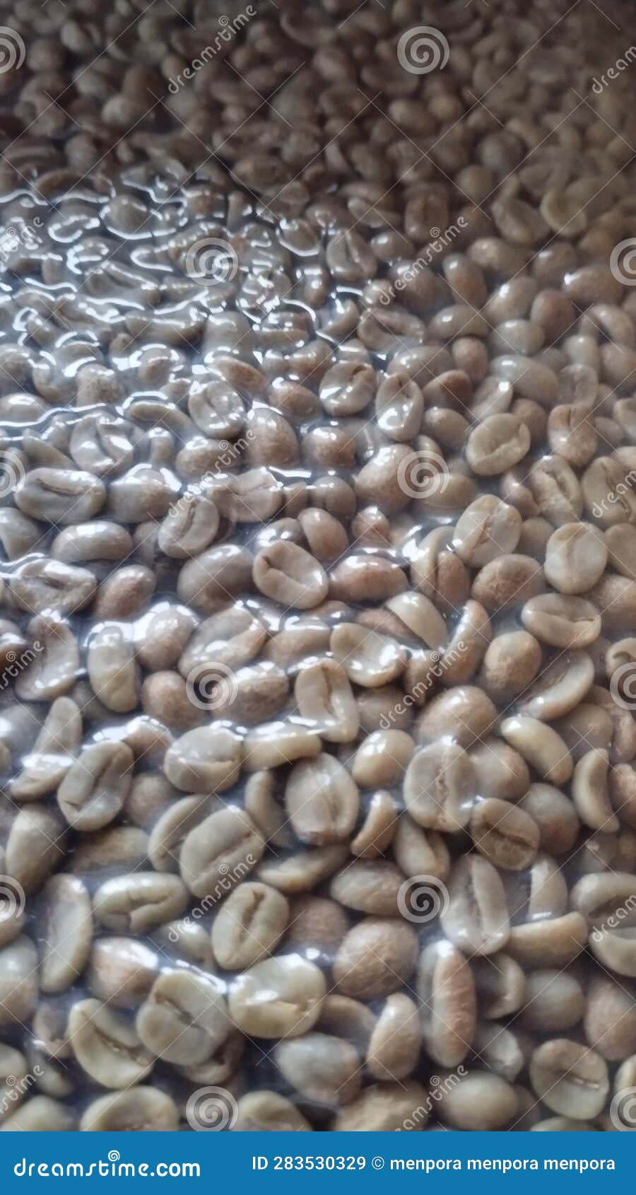 Organic Arabica Coffee Background for Health Stock Image - Image of ...