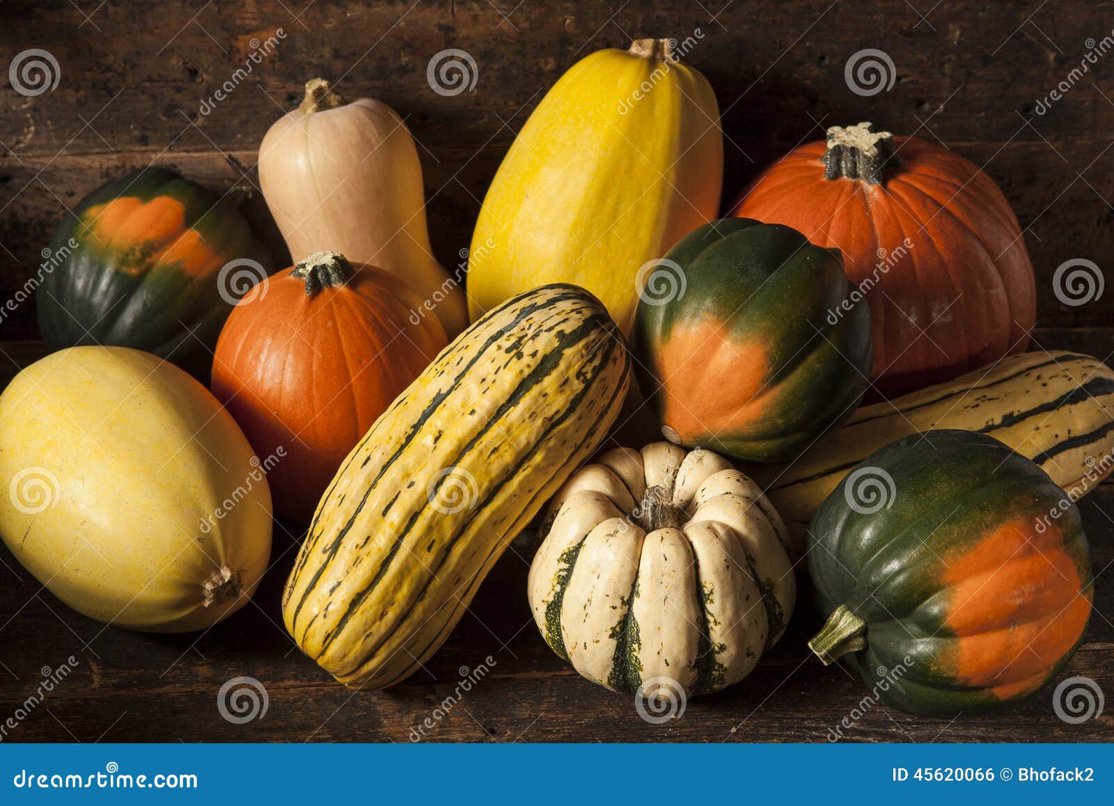 Organic Assorted Autumn Squash Stock Photo - Image of ripe, autumn ...