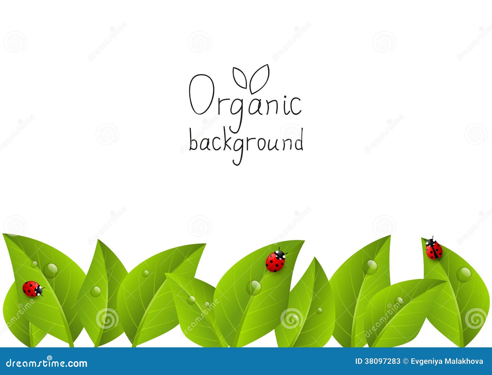 Organic background stock vector. Illustration of leaf - 38097283