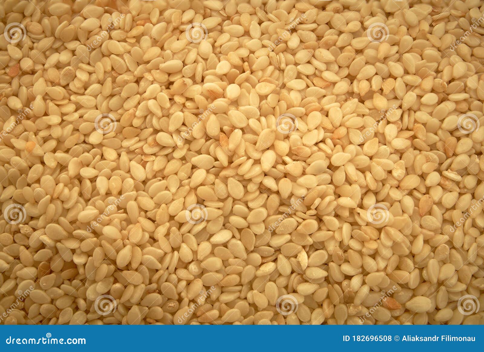 Background Texture Sesame Seeds Stock Photo - Image of grain, bran ...