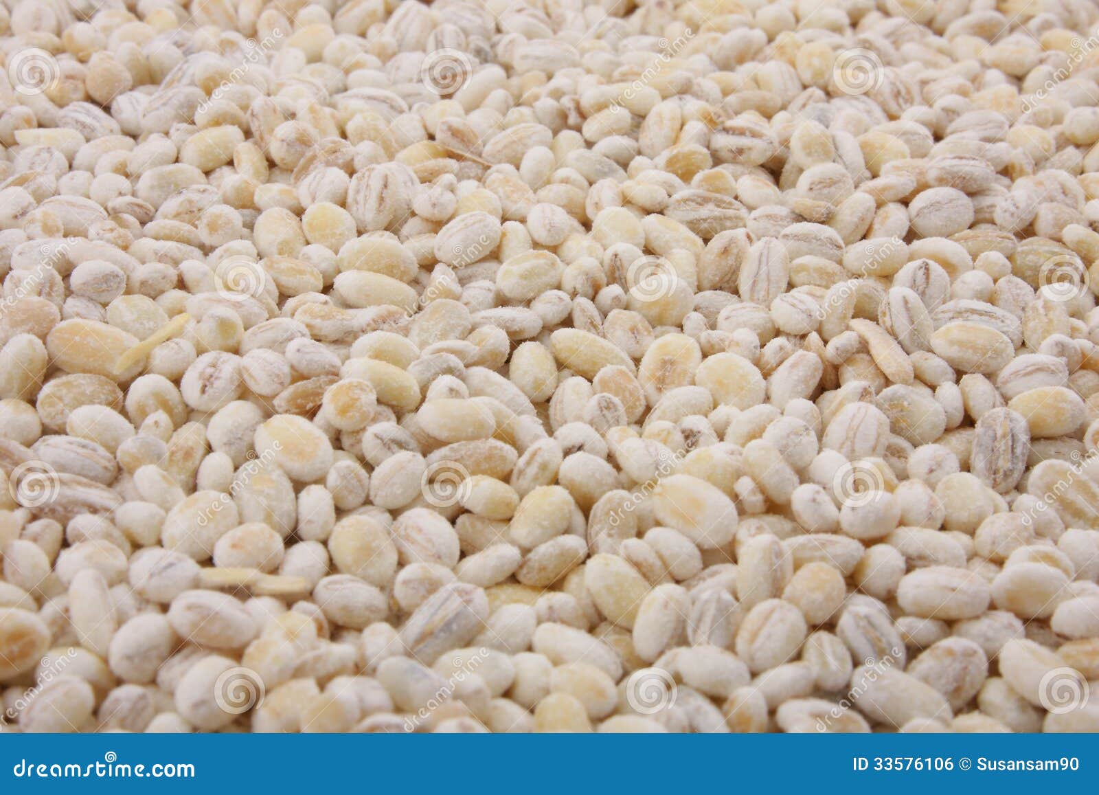 Organic Barley seeds. stock photo. Image of meal, crop - 33576106