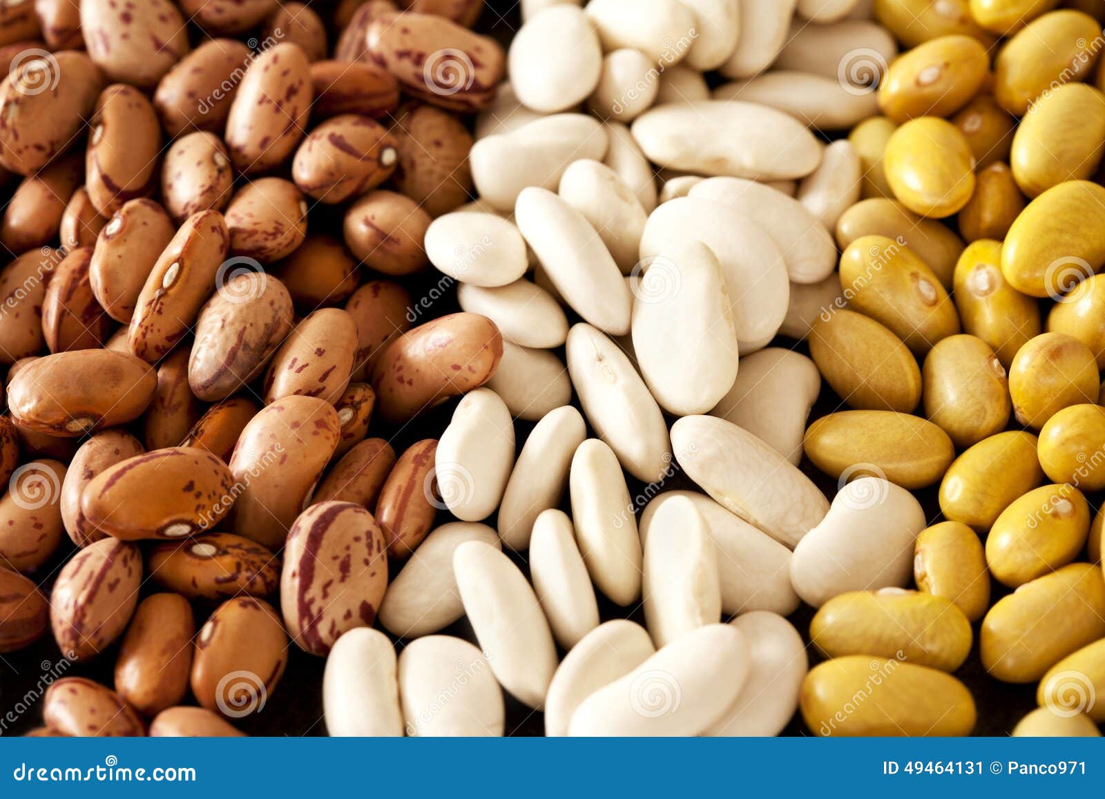 Organic beans stock image. Image of food, cook, grain - 49464131