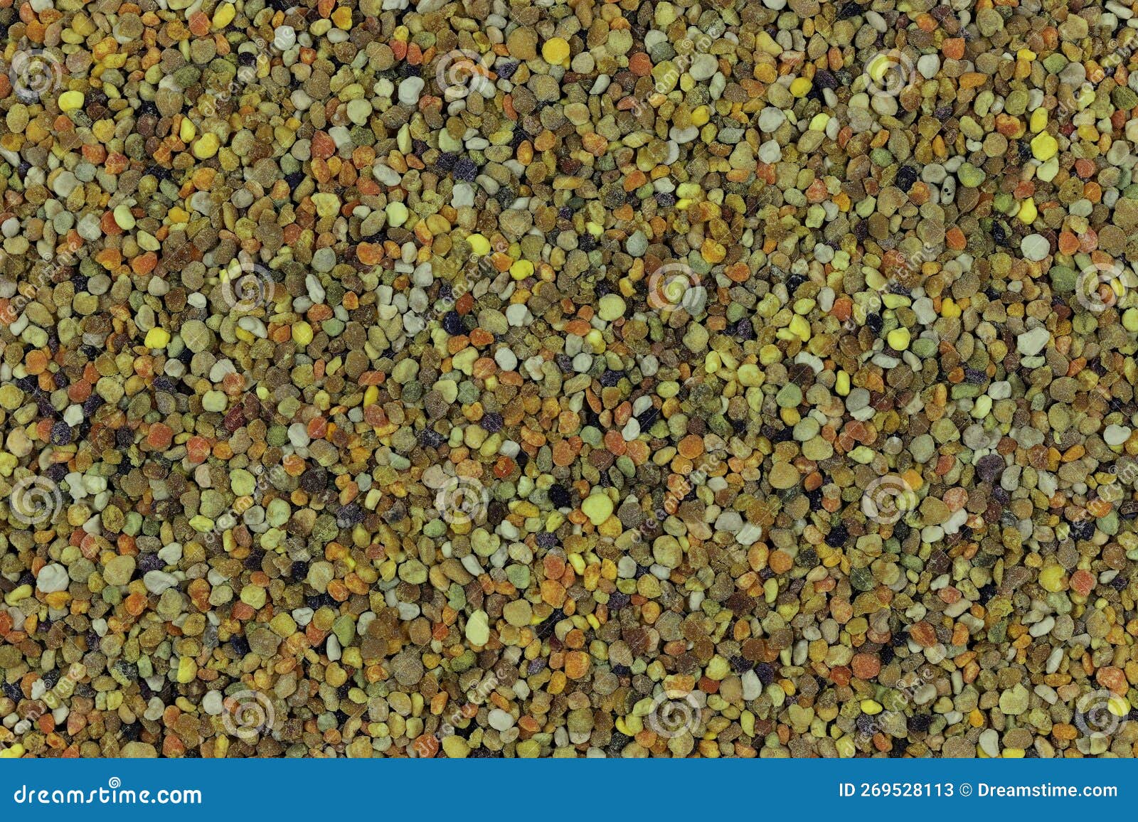 Bee pollen stock image. Image of flower, acids, proteins - 269528113