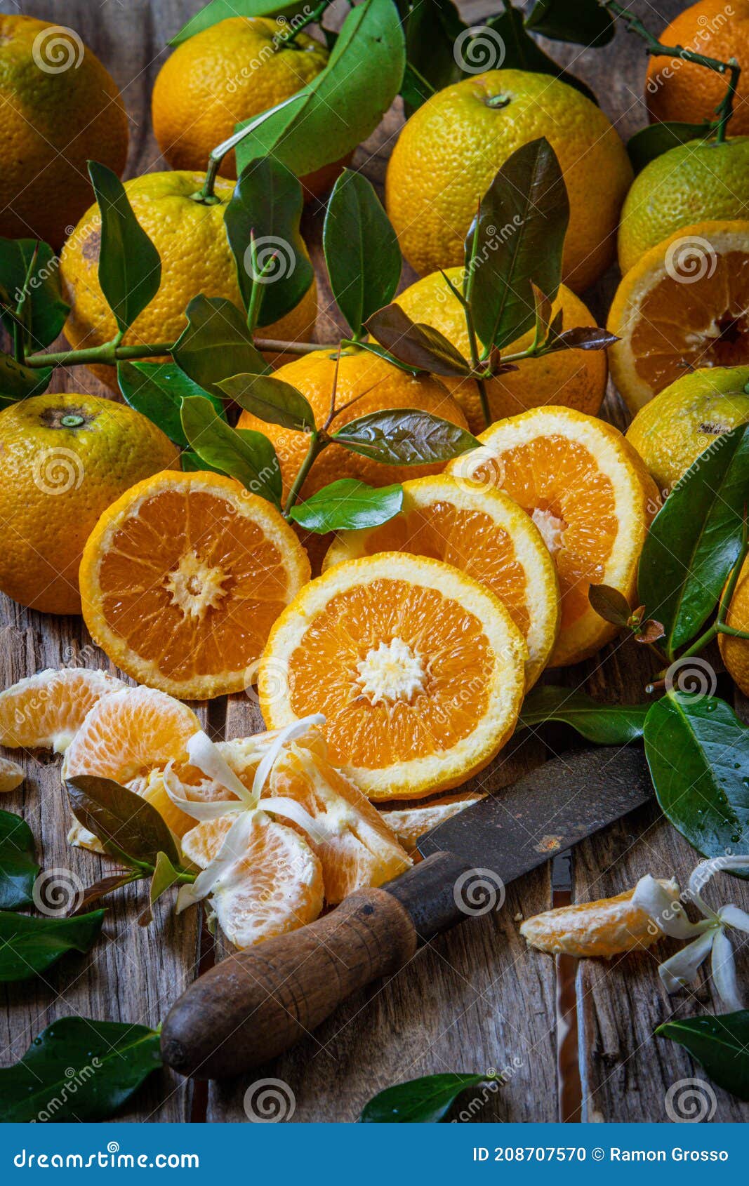 Organic and bio oranges stock photo. Image of organic - 208707570
