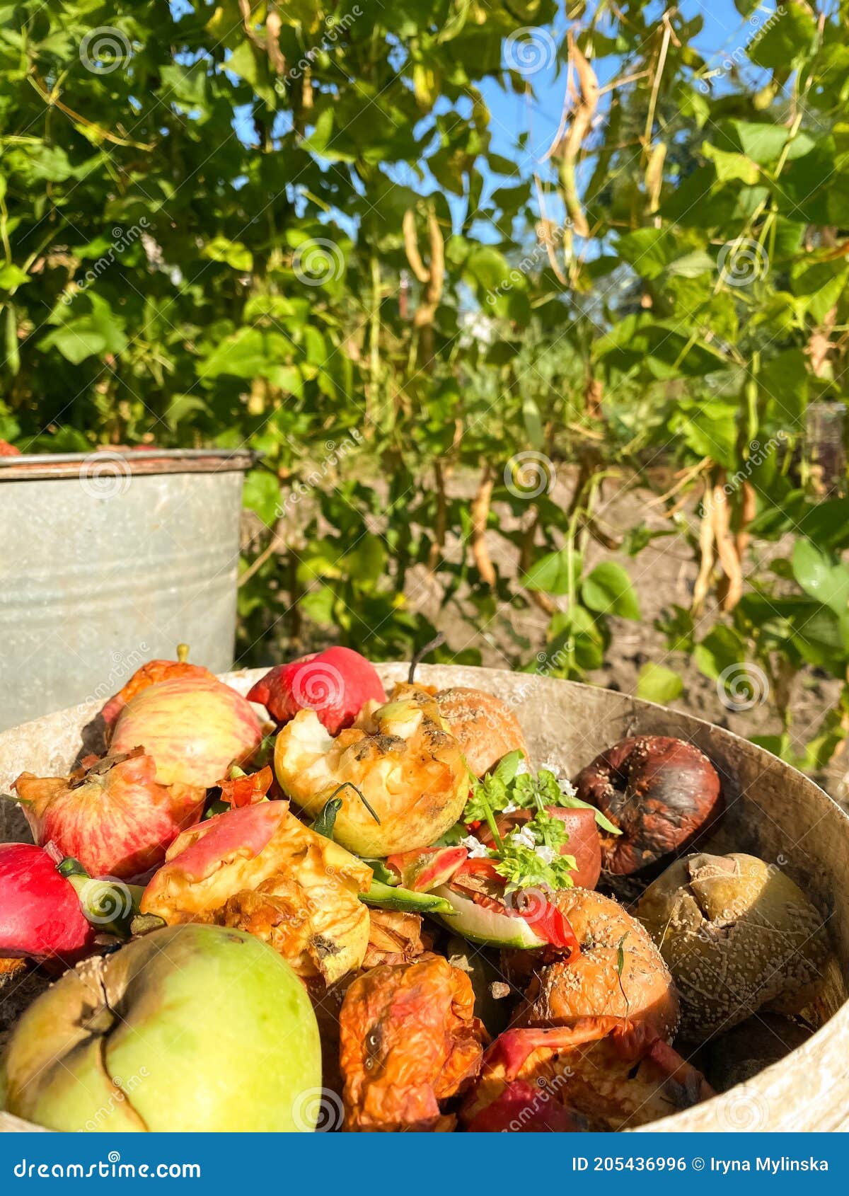 Organic Biodegradable Waste Container with Food Waste and Vegetable ...