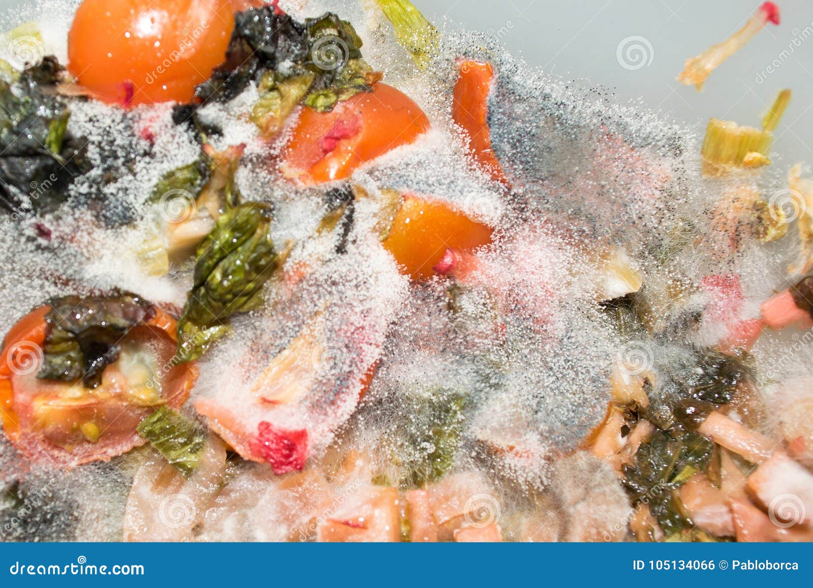 516 Rotten Salad Photos - Free & Royalty-Free Stock Photos from Dreamstime