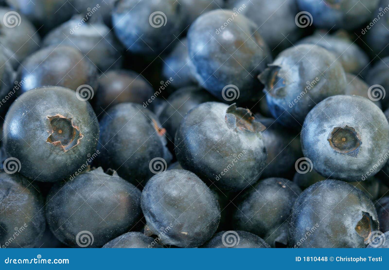 Organic Blueberries stock photo. Image of detail, good - 1810448