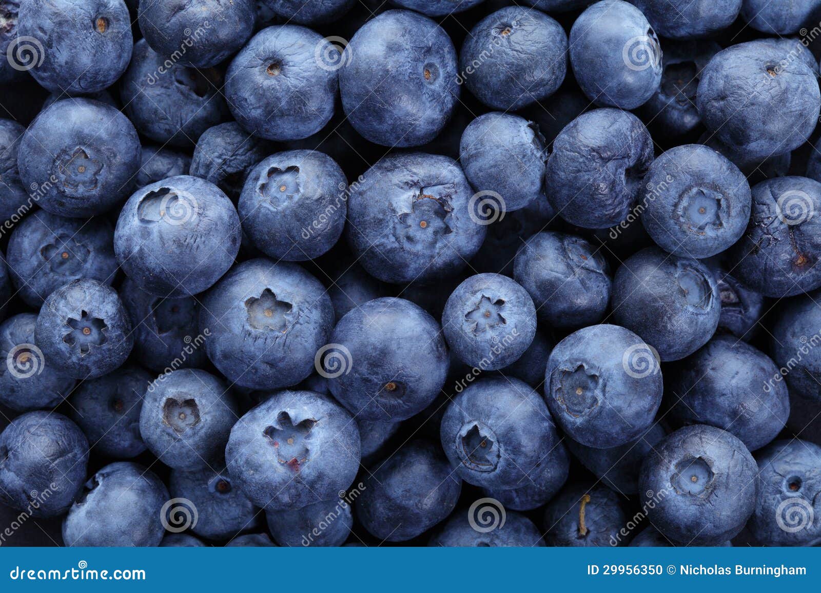 Blueberries background stock photo. Image of snack, detailed - 29956350