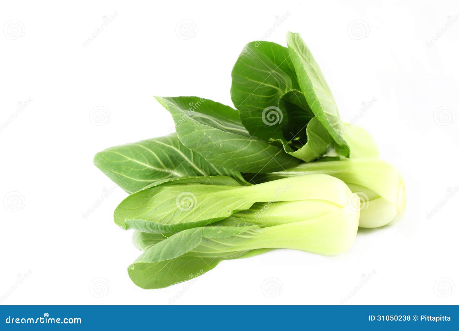 Organic boc choy stock photo. Image of nutrition, healthy - 31050238