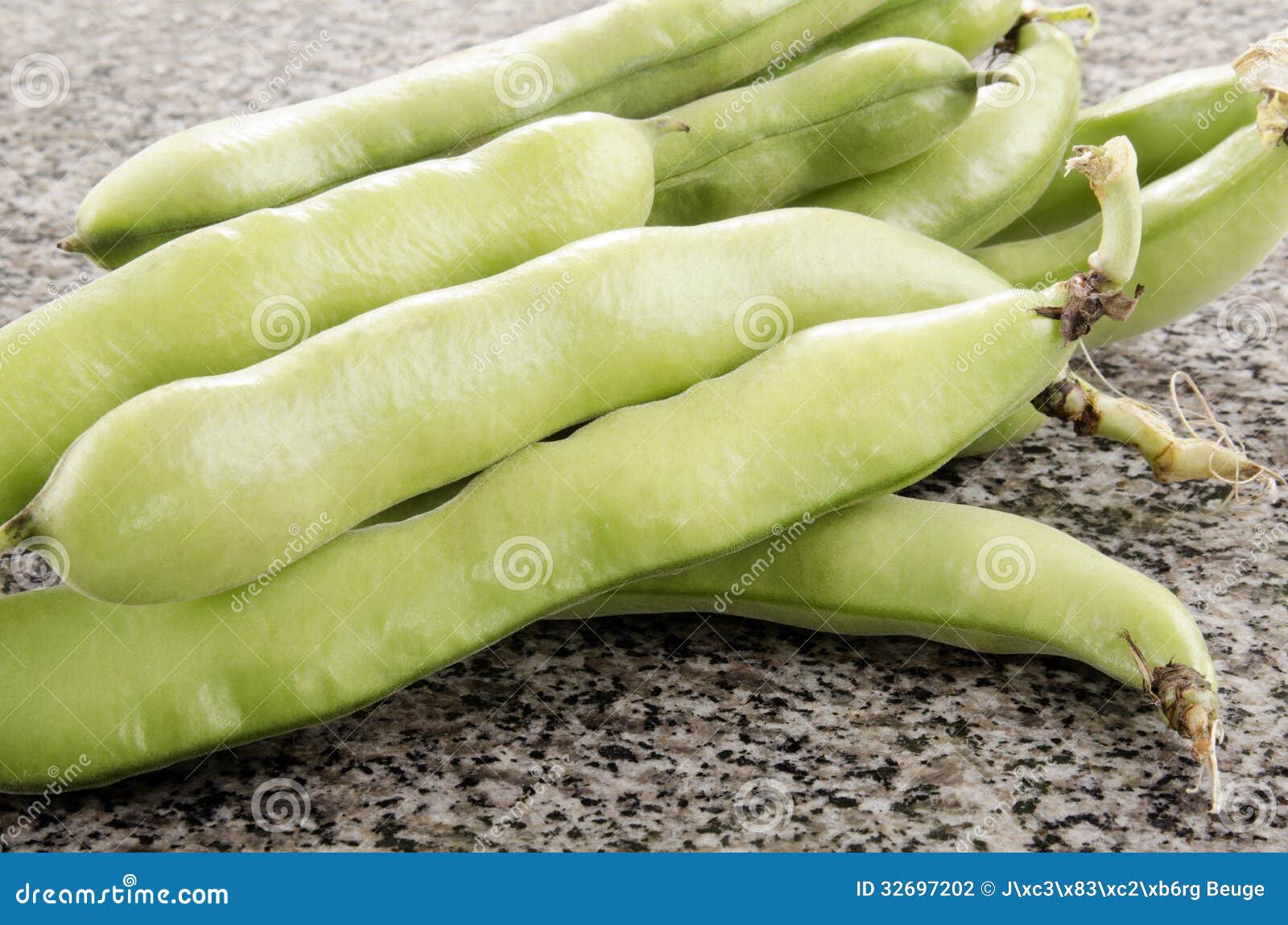 Organic broad beans stock photo. Image of vegetable, tasty - 32697202