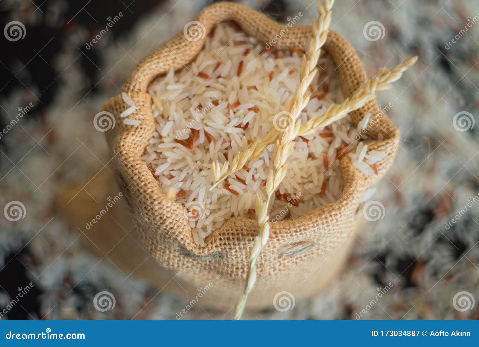 Organic rice on a sack stock image. Image of traditional - 173034887