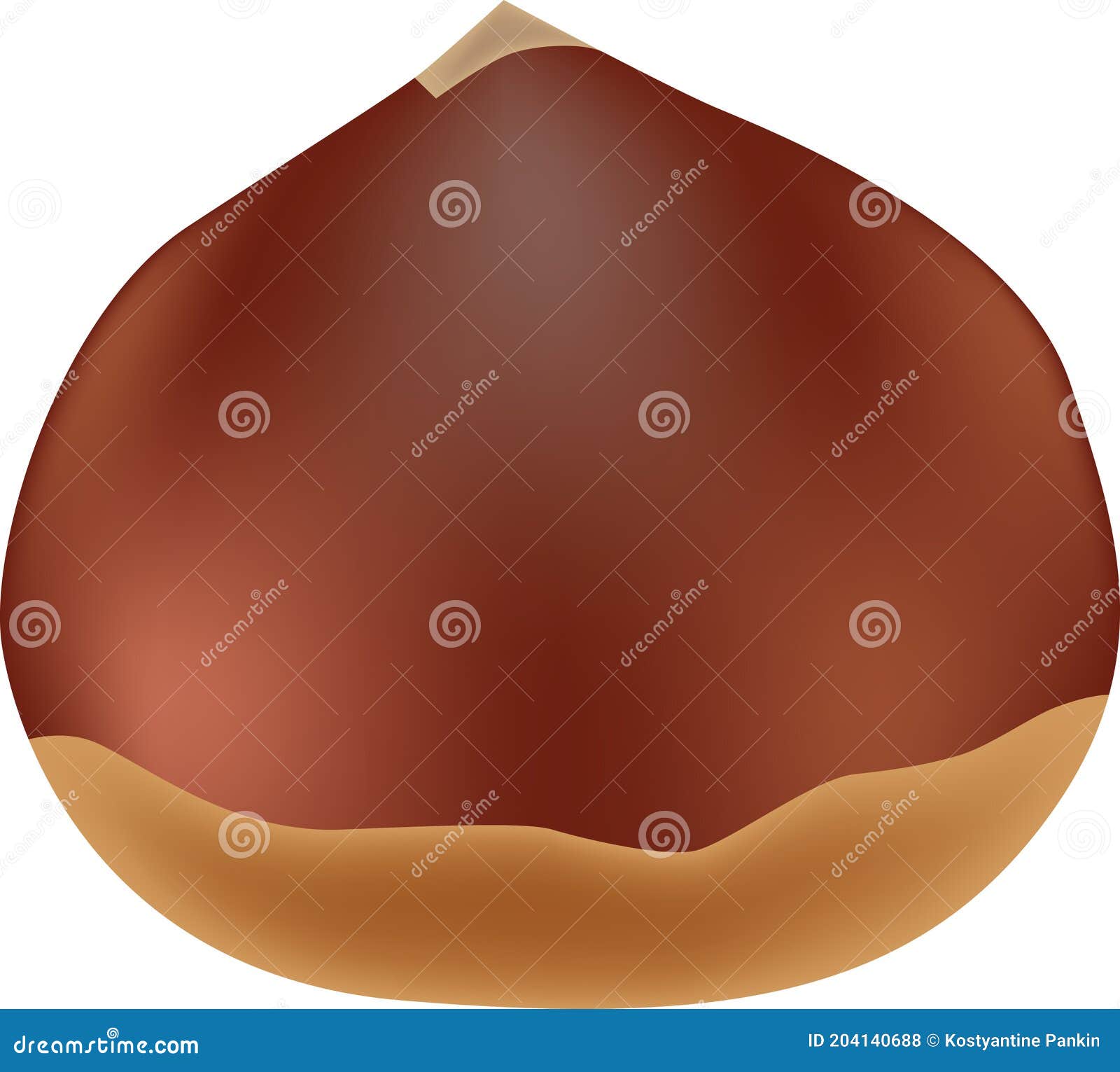 Organic brown in the shell stock vector. Illustration of nature - 204140688
