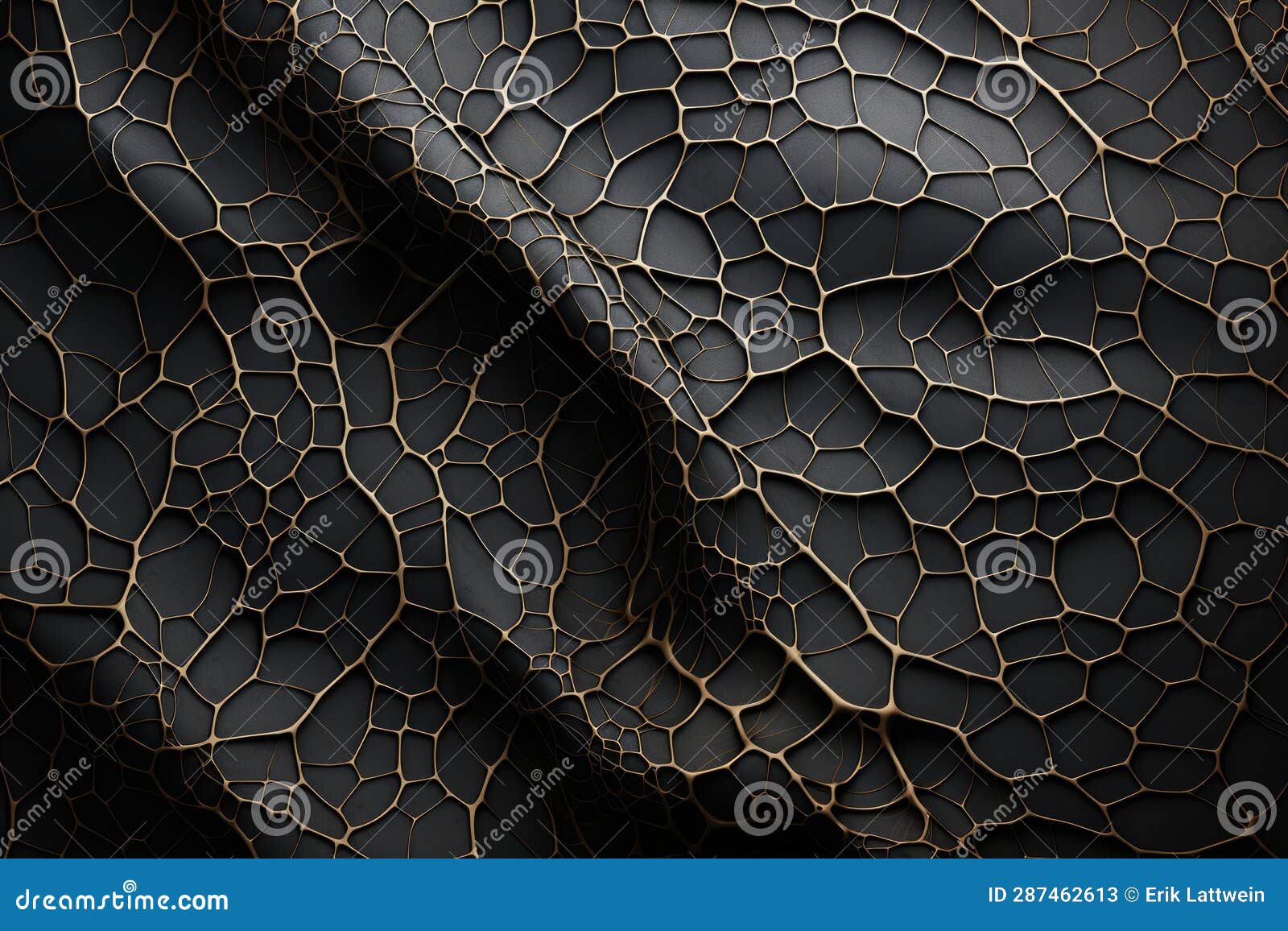 Organic BW Textures Abstract Patterns - Abstract Background Composition ...