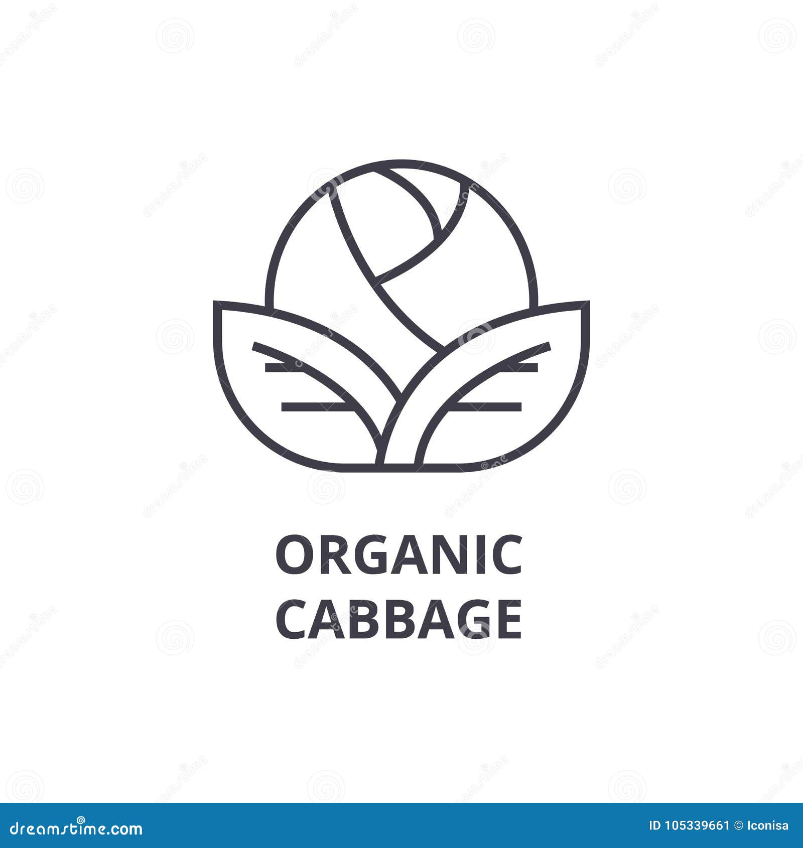 Organic Cabbage Line Icon, Outline Sign, Linear Symbol, Vector, Flat ...
