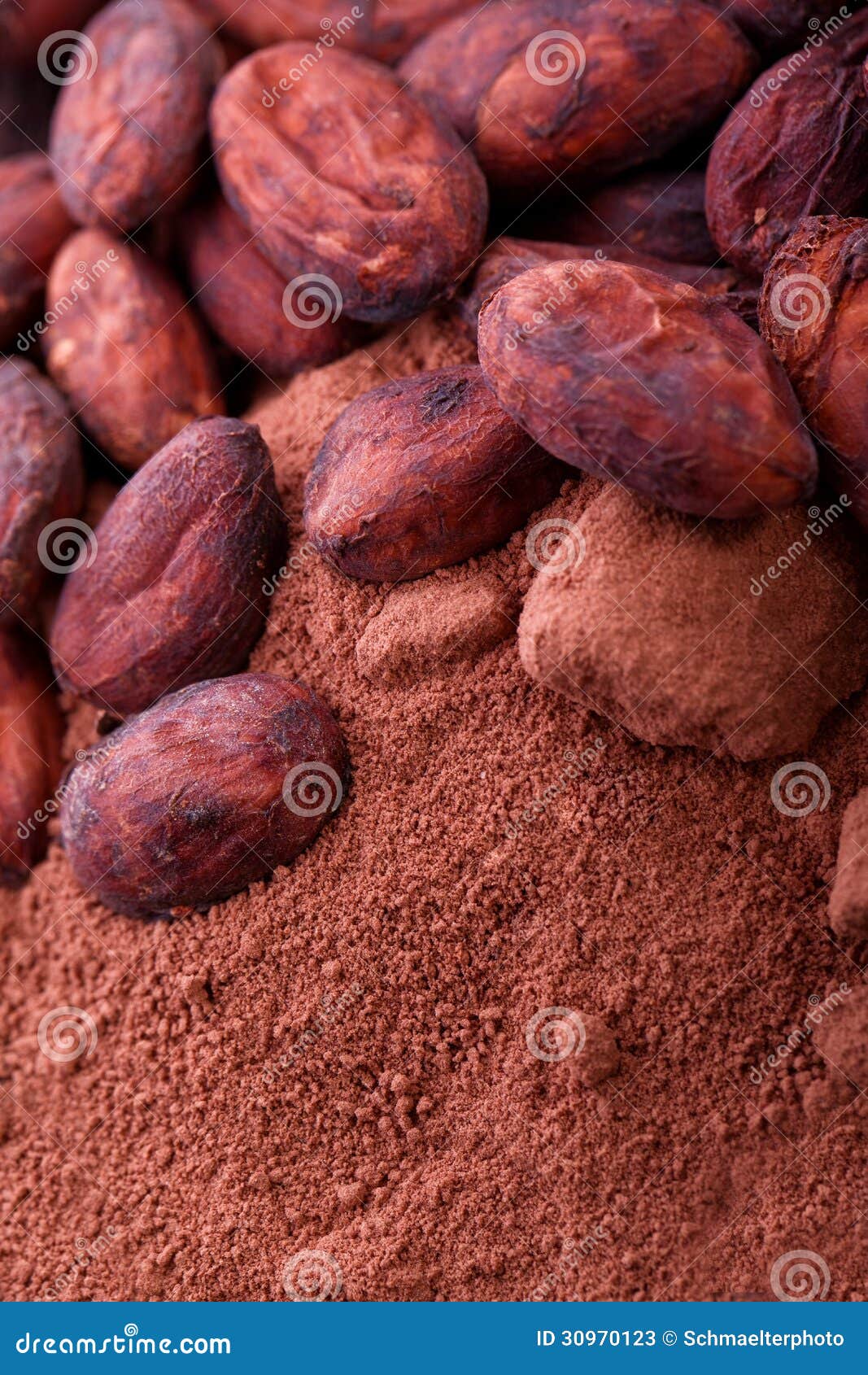 Organic Cacoa Bean and Powder Stock Image - Image of brown, diet: 30970123