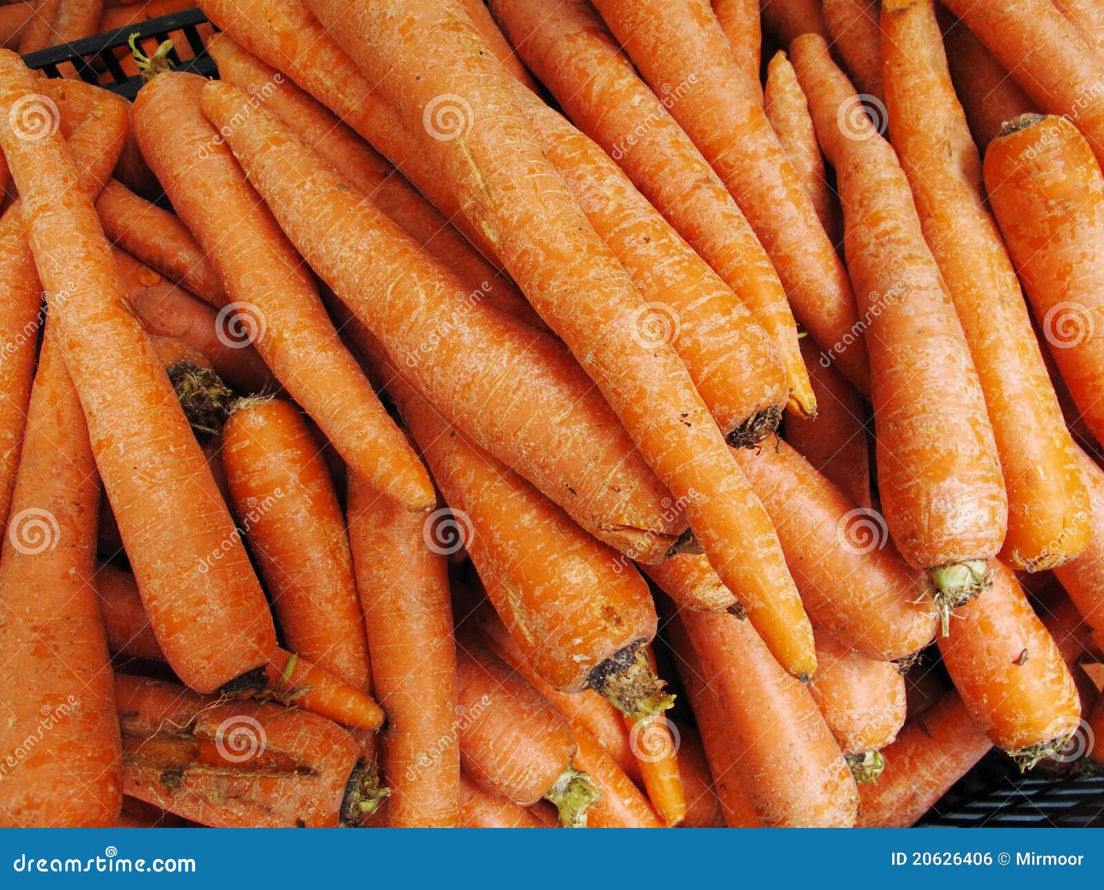 Organic Carrot for Sale at Market. Stock Photo - Image of diet, garden ...