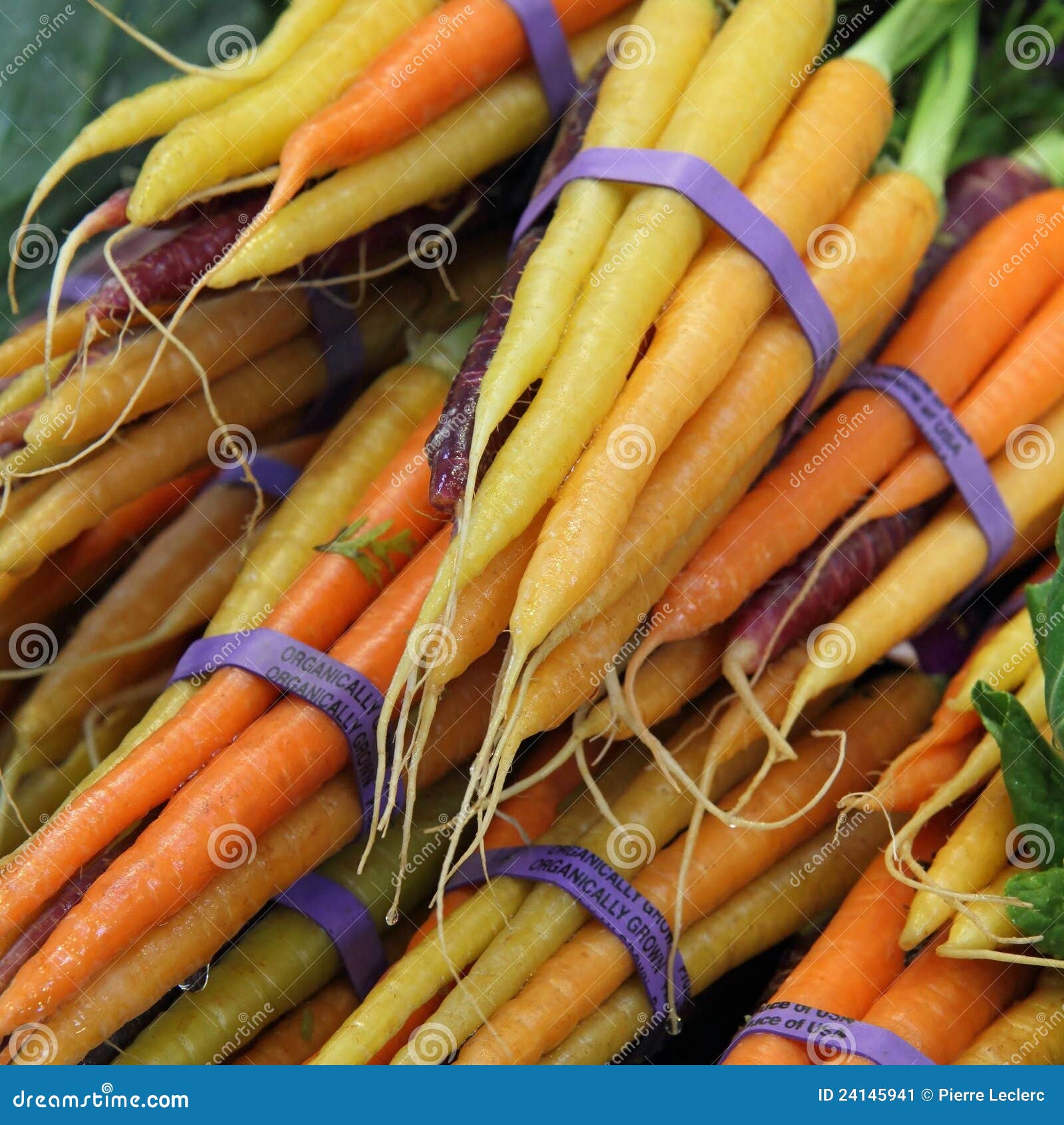 Organic Carrots stock image. Image of market, fruits - 24145941