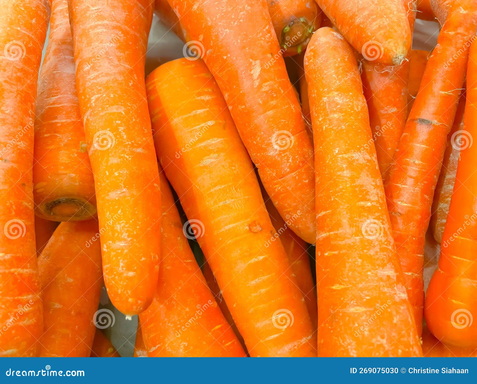 Organic Carrots stock photo. Image of vitamin, nature - 269075030