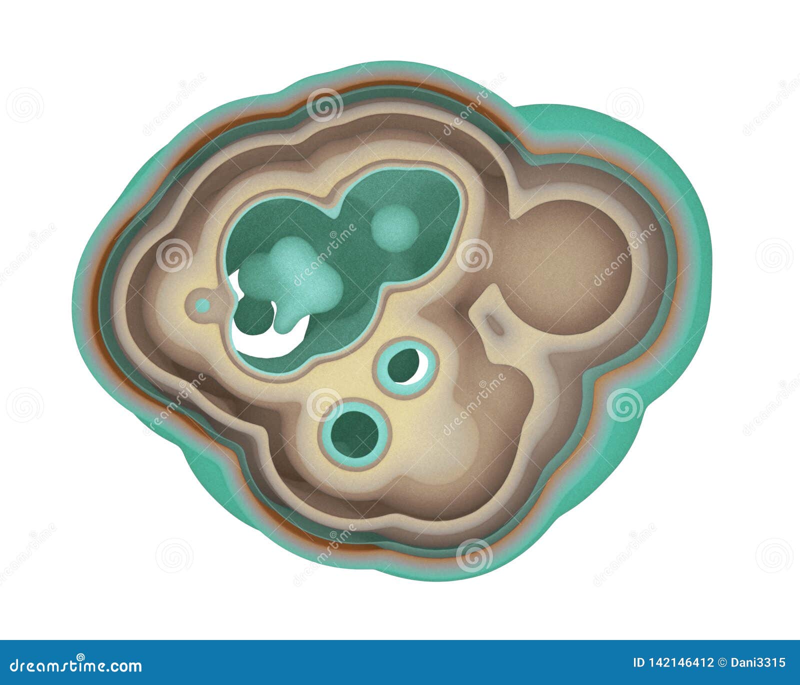 Cell Cross Section Anatomy Drawing Cartoon Vector | CartoonDealer.com ...