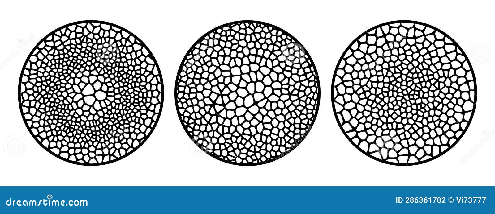 Organic Cells Radial Pattern Set. Vector Grid Mesh Elements for Design ...