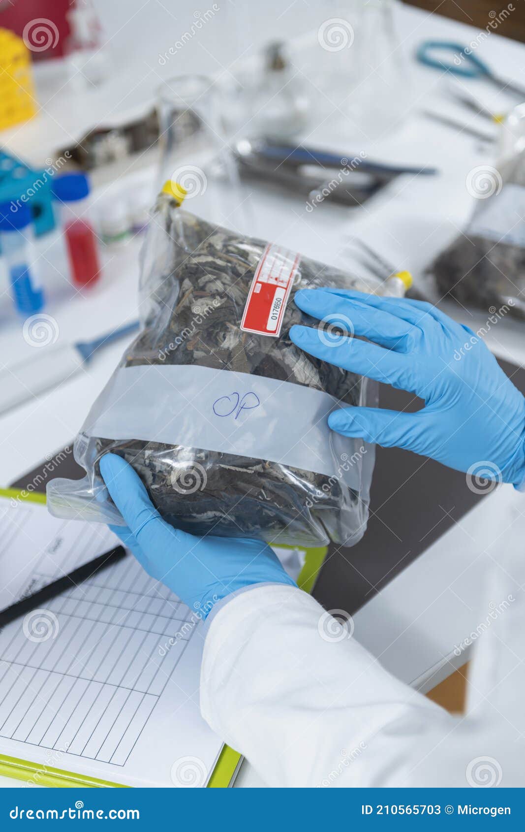 Organic Certification Process in Laboratory Stock Image - Image of ...