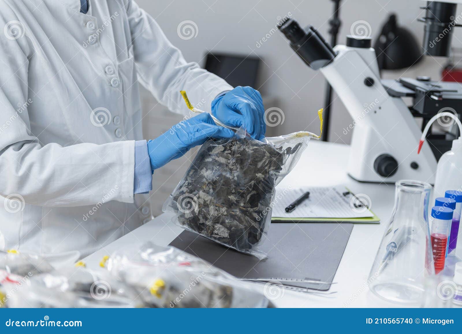 Organic Certification Process in Laboratory Stock Photo - Image of ...