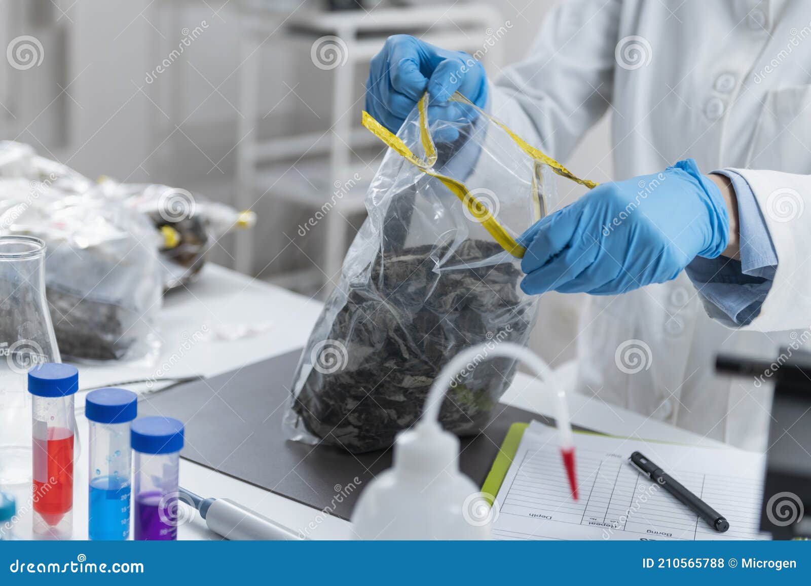 Organic Certification Process in Laboratory Stock Photo - Image of ...
