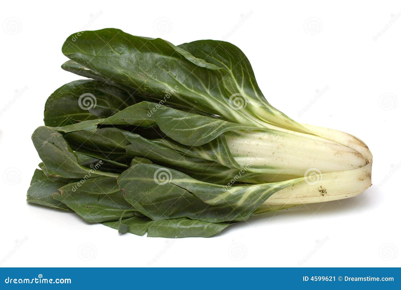 Organic Chard stock image. Image of vegetables, green - 4599621